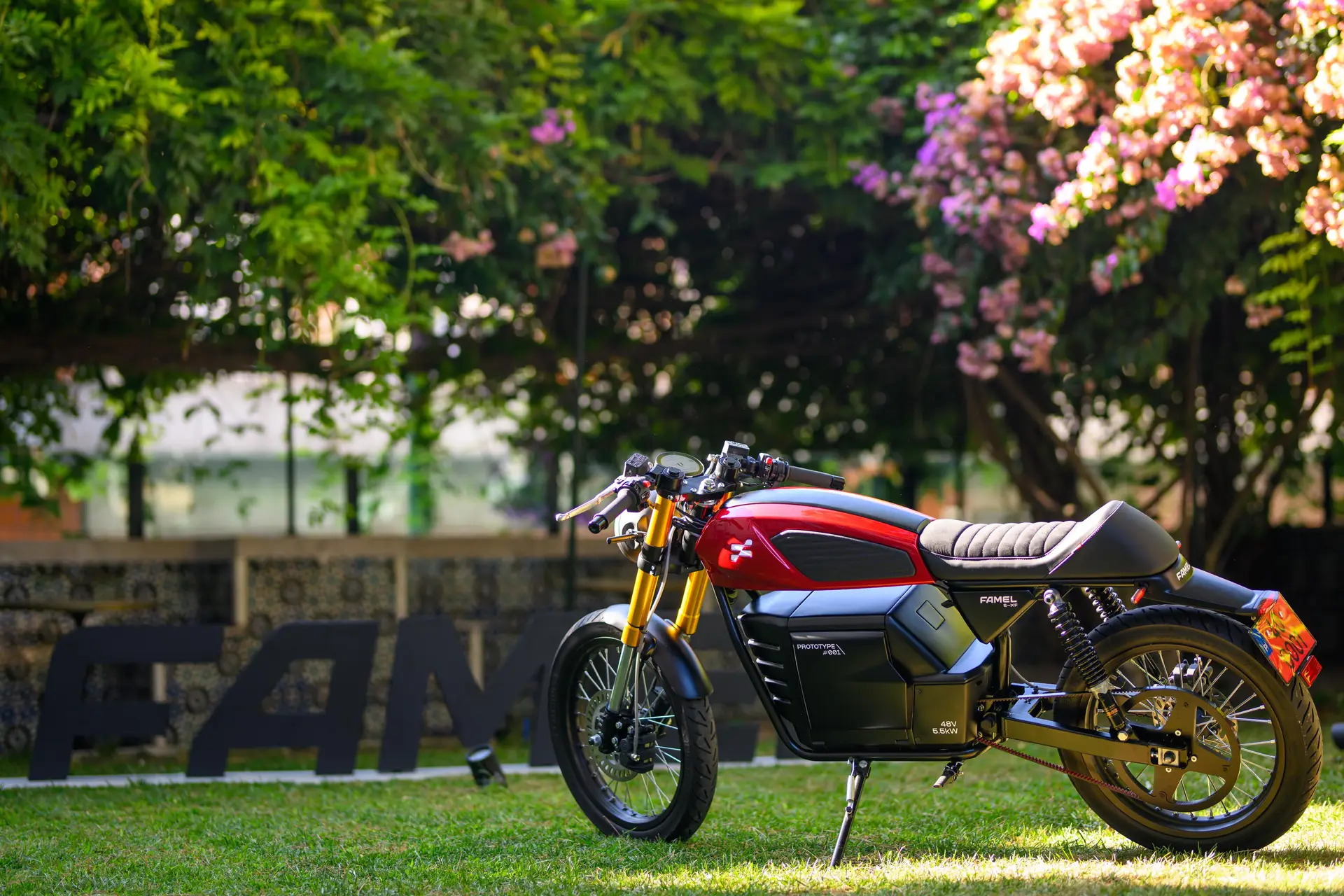 Famel acelera a revitalização da marca com investimento de €2,5 milhões ...