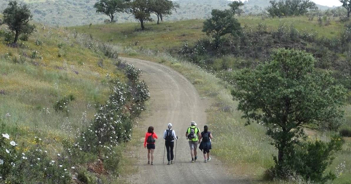 Natureza e cultura: Alentejo Walking Festival promove mais de 50 ...
