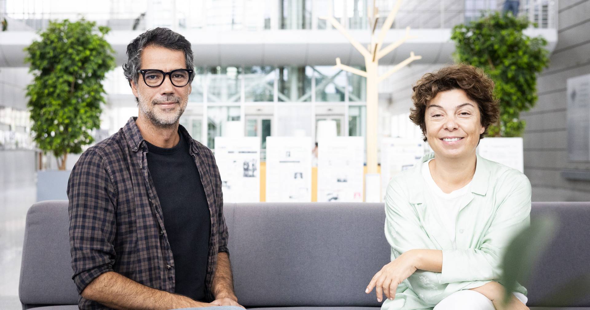 Alguns agricultores enriqueceram com o preço do azeite? “Sim, mas a ...