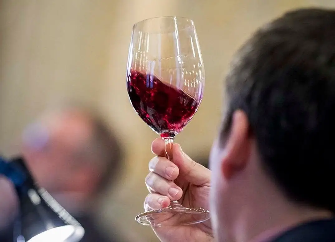 Top 10 Vinhos Portugueses: conheça a lista dos melhores tintos, brancos ...