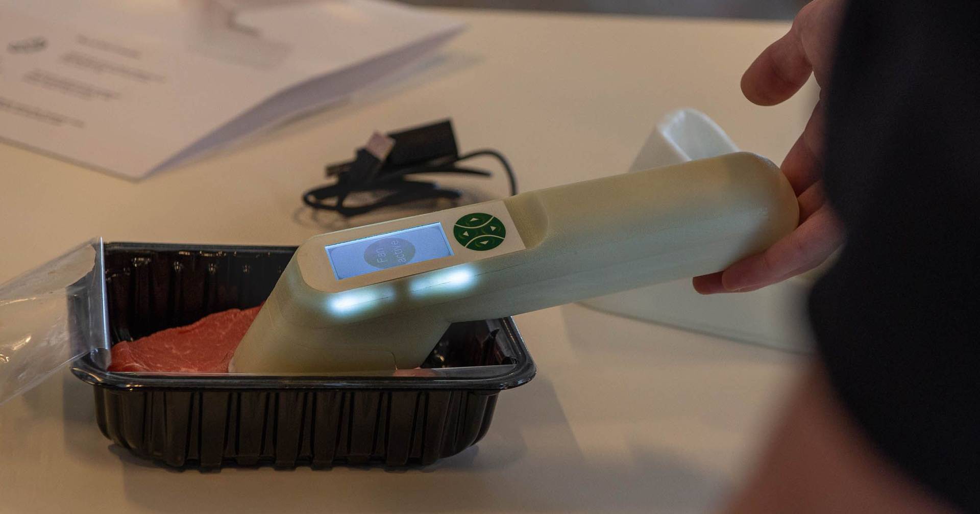 Um “nariz eletrónico” para perceber se a carne e o peixe no ...