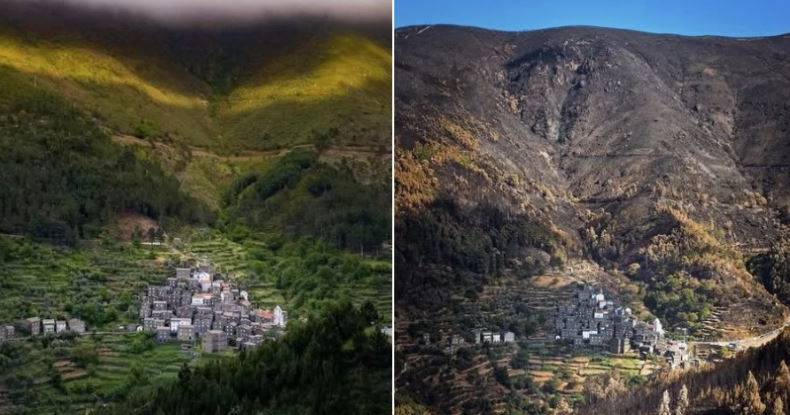 Imagens captadas após incêndio em Arganil revelam cenário negro de ...
