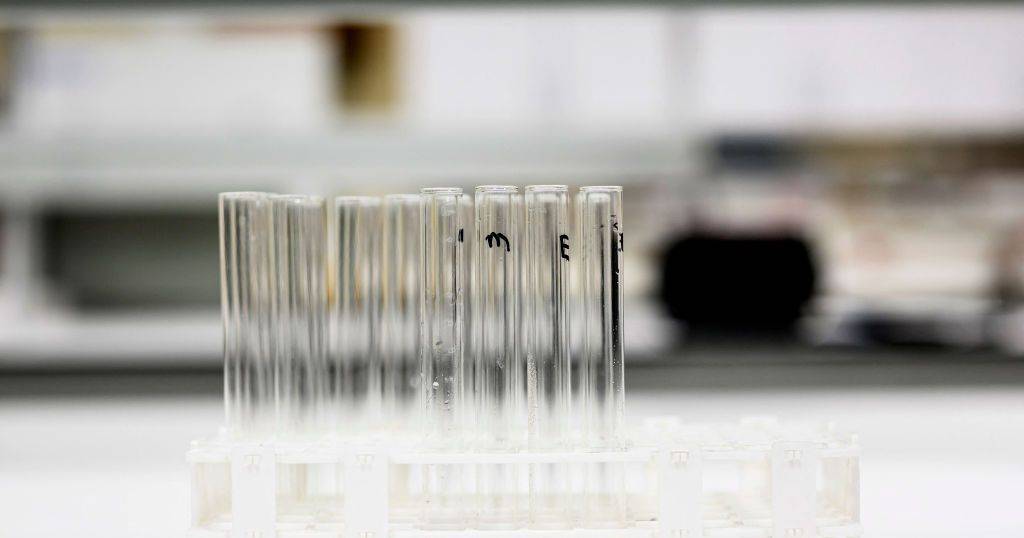 Portugal envia antídoto para o Brasil após aumento de casos de ...