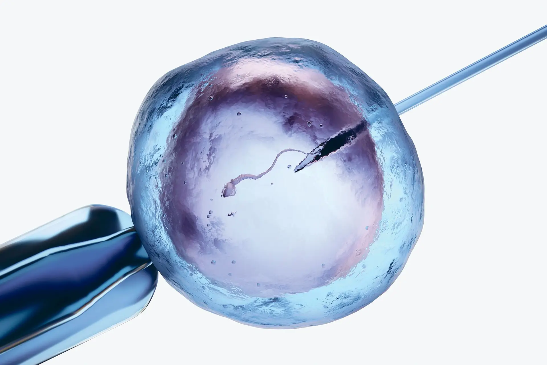 De inverno demográfico a incubadora de bebés: será a procriação ...