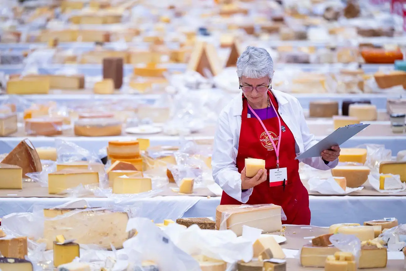 Premiados nos World Cheese Awards, conheça os sete melhores queijos ...