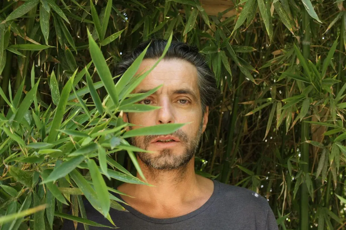 Música nova para o fim de semana: JP Simões regressa ‘mascarado’, o ...