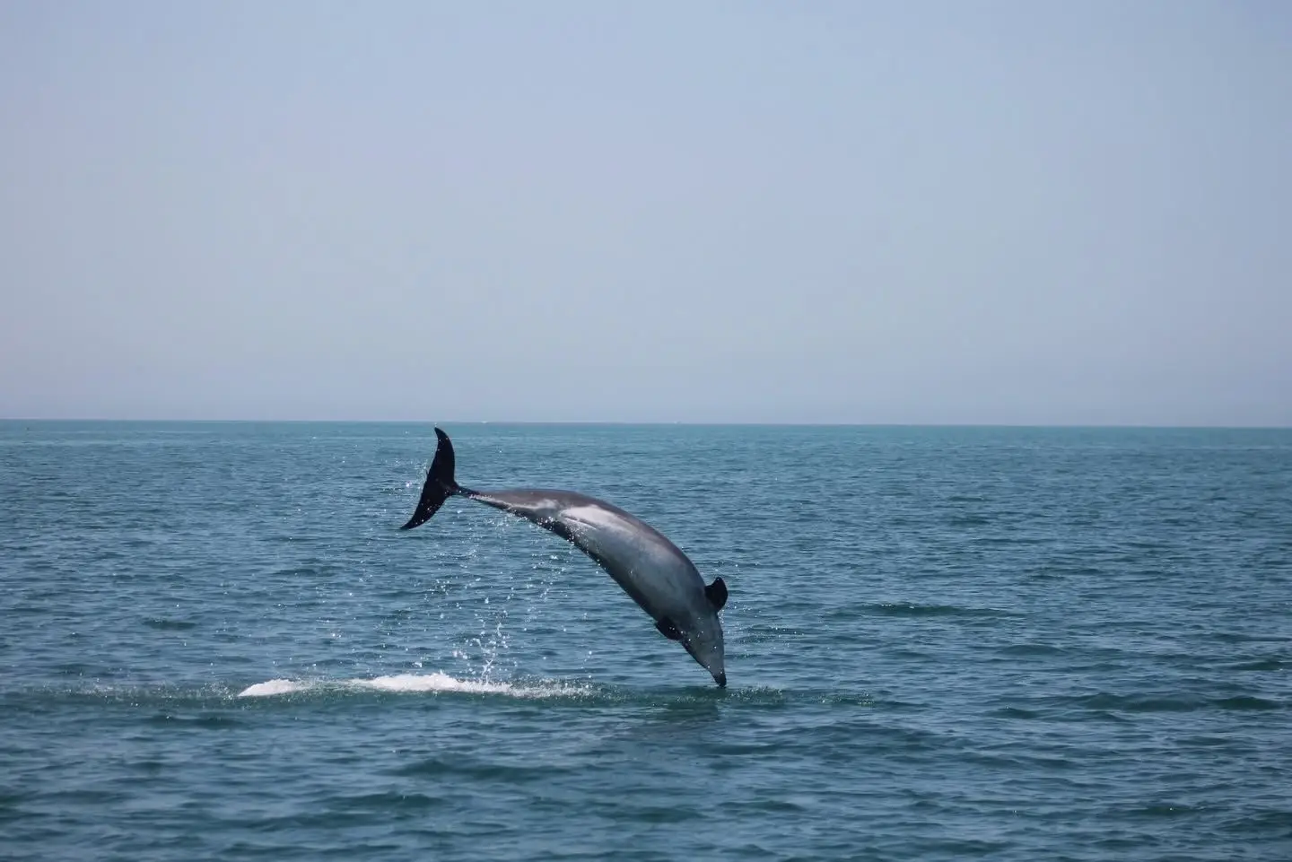 Rio, mar e terra para descobrir na Reserva Natural do Estuário do Sado ...