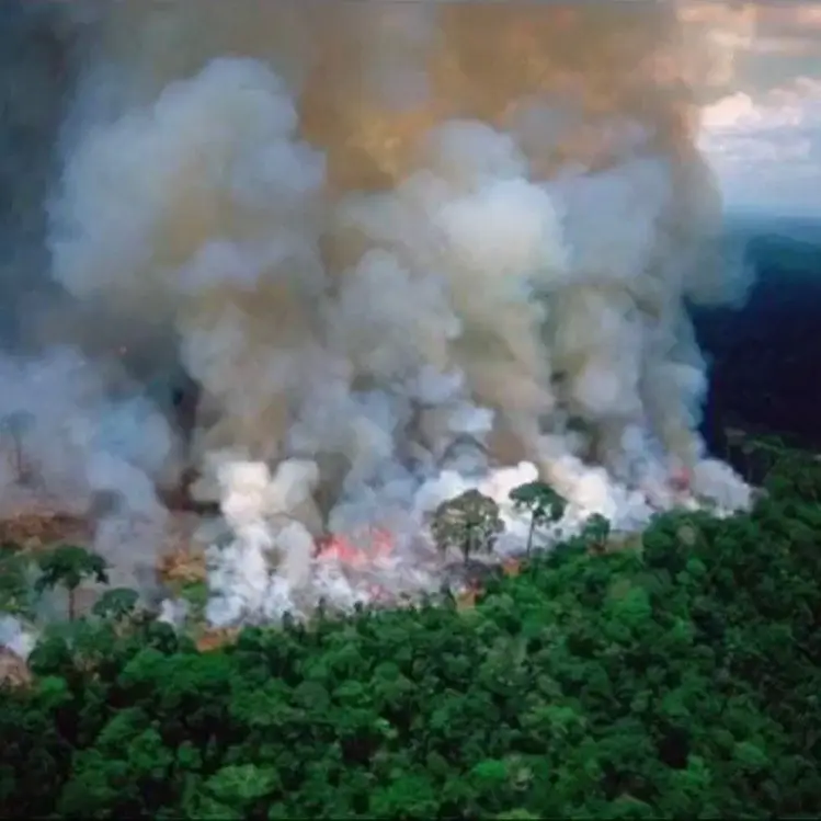 Cláudia Vieira sobre os incêndios na Amazónia: “Que impotência, revolta ... Cláudia Vieira sobre os incêndios na Amazónia: “Que impotência, revolta ...