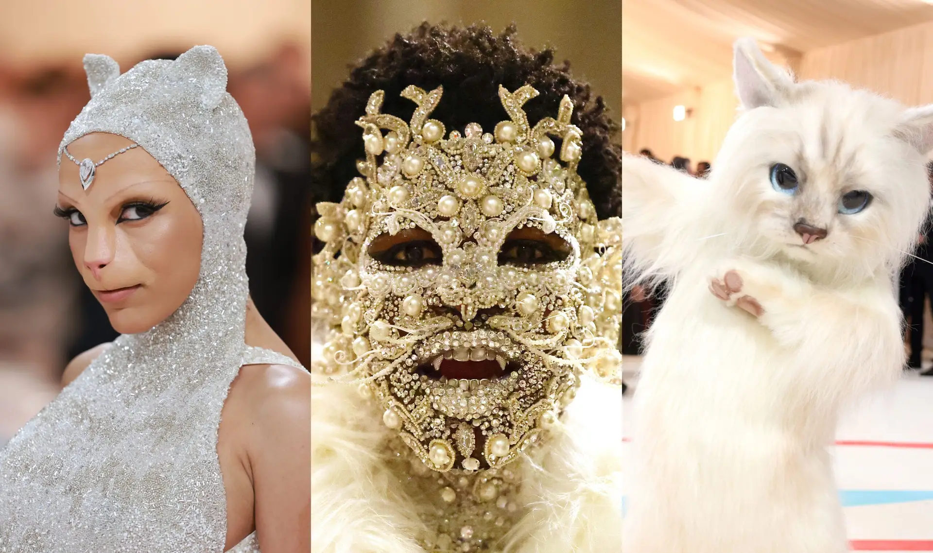 A gata de Karl Lagerfeld foi a inspiração dos três looks mais ...