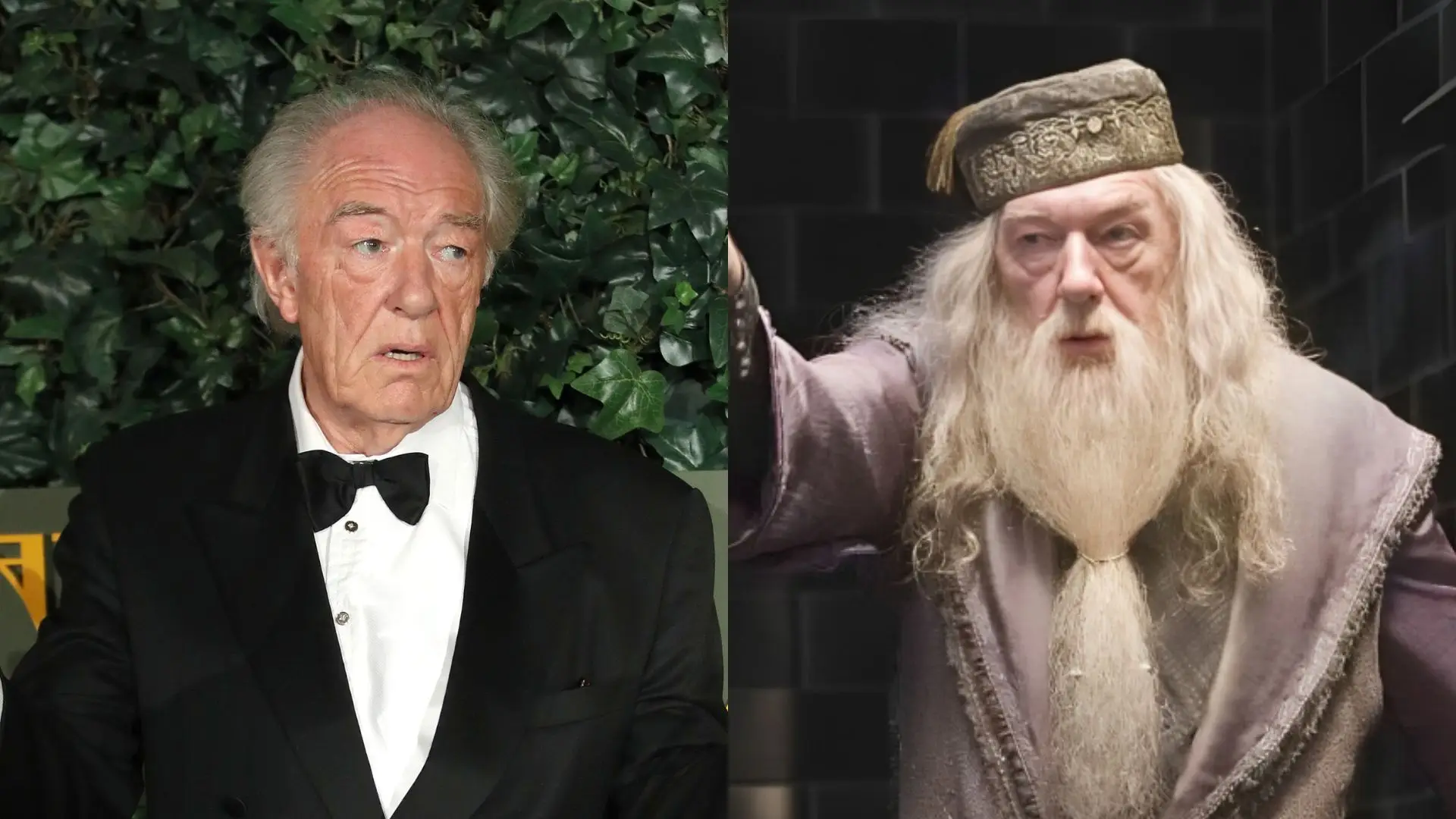 Morreu Michael Gambon, o Dumbledore de ‘Harry Potter’ - Fama Show