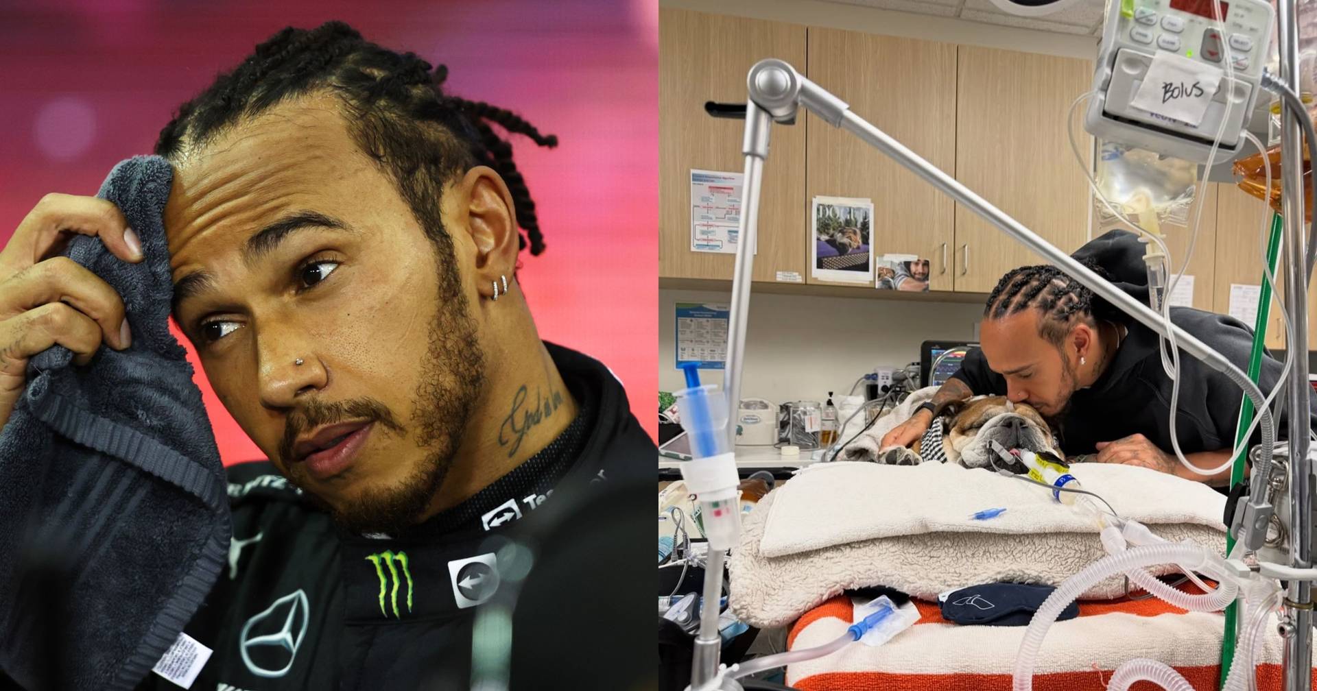 "O coração dele parou. Está em coma" - Lewis Hamilton pede "orações" em ...