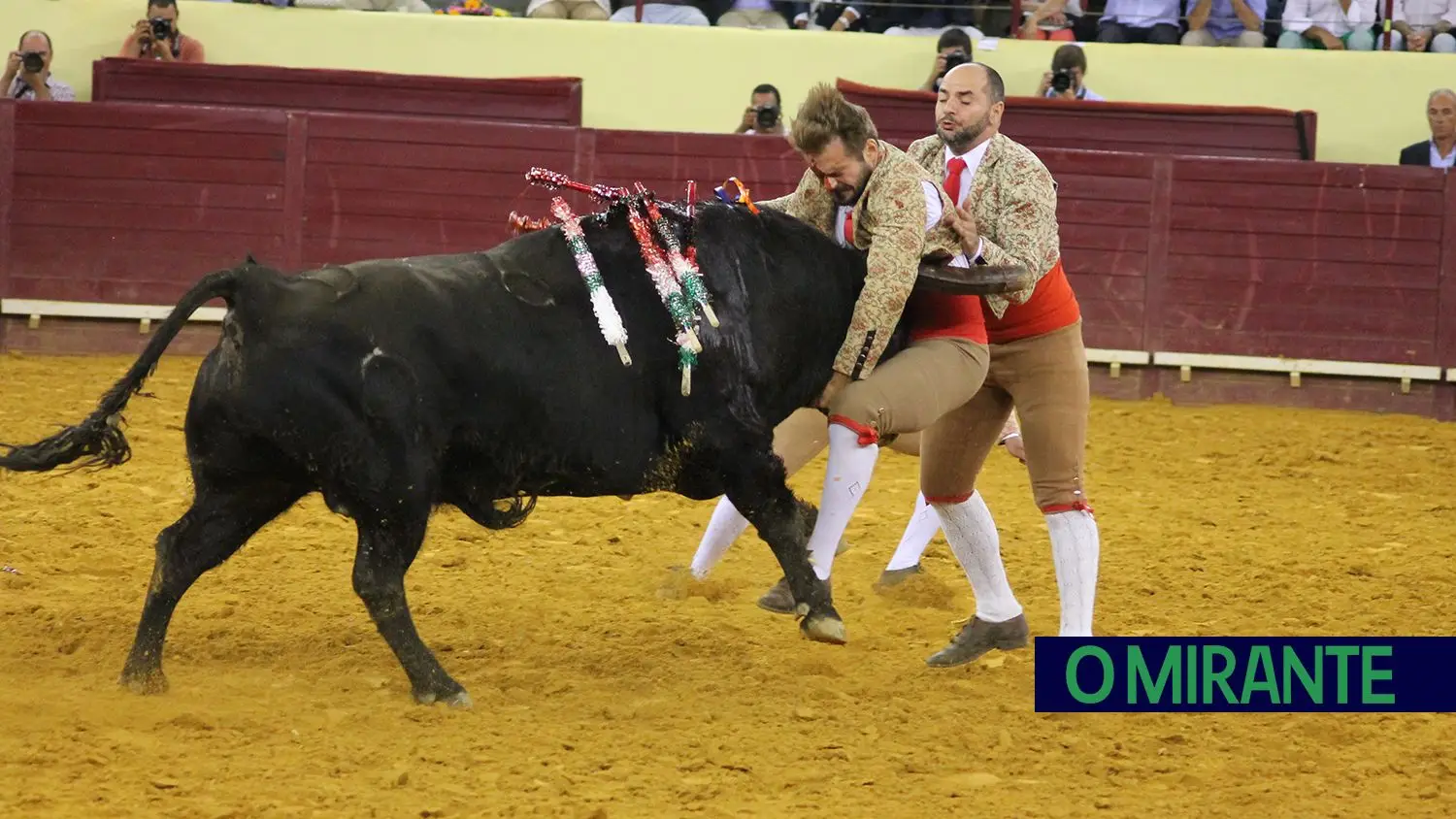 O MIRANTE | Exposição de fotografia assinala 50 anos dos Forcados de ...