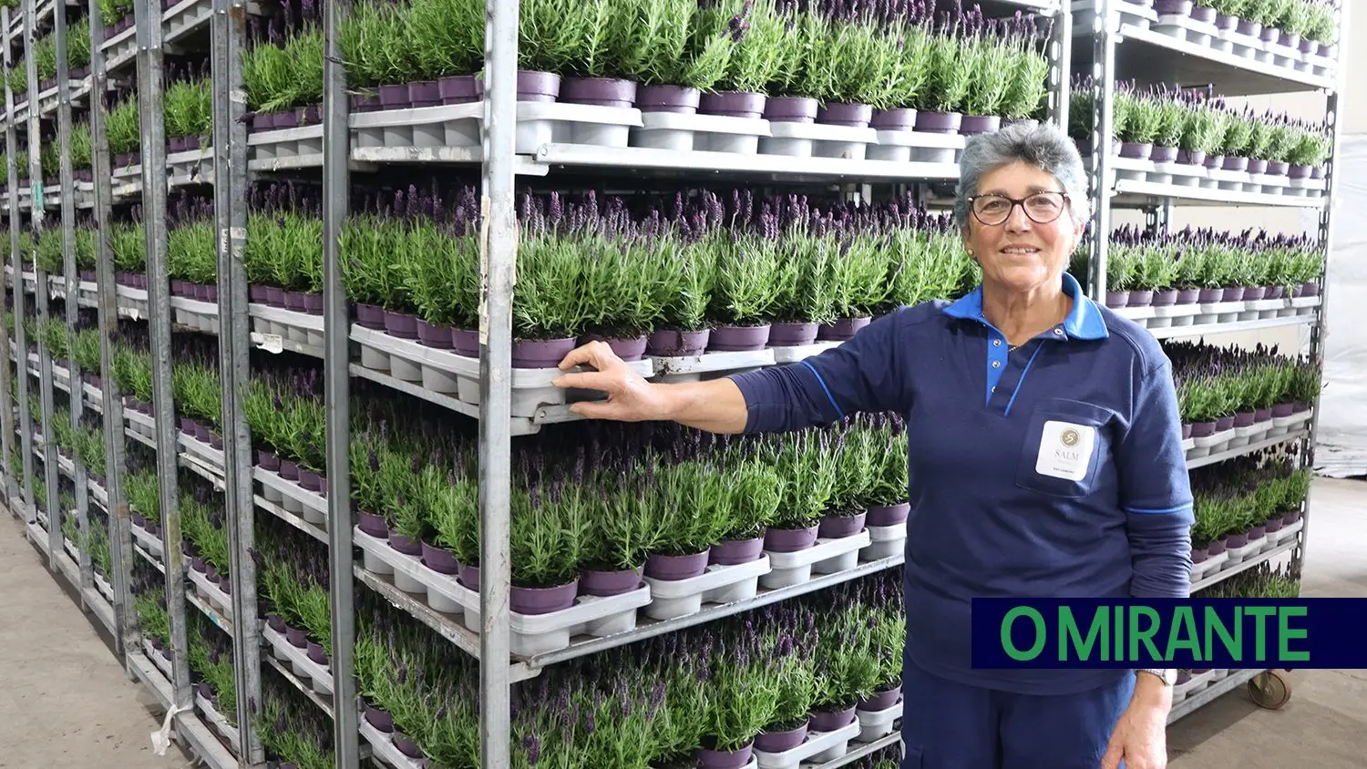 O MIRANTE | Ana Gameiro: uma vida dedicada ao trabalho que começou aos ...