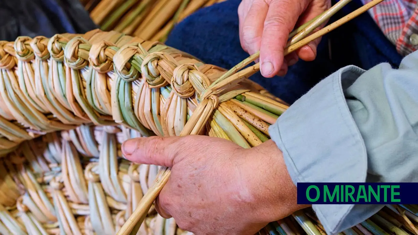 O MIRANTE | Festival do Bunho e do Pão de Barbela de regresso à Moçarria