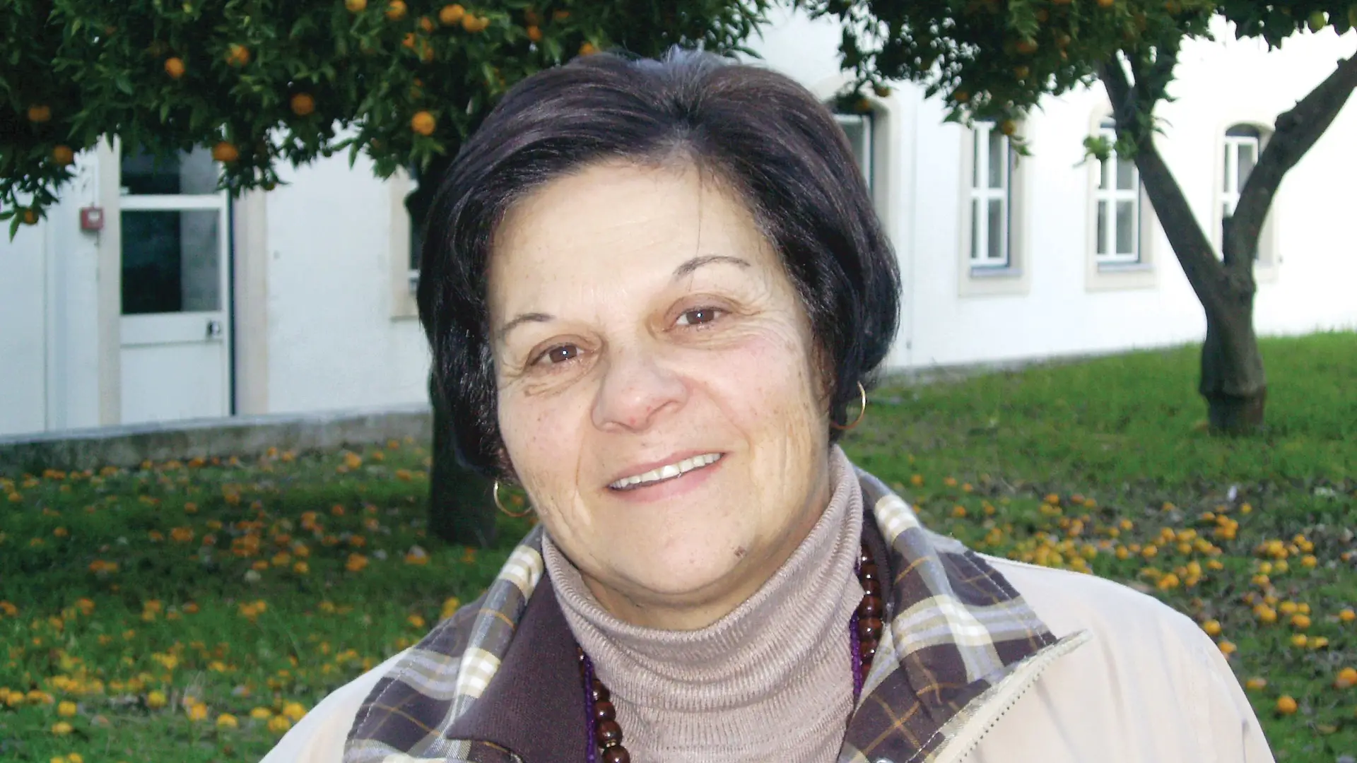 O MIRANTE | Maria Fernanda Gomes Alexandre