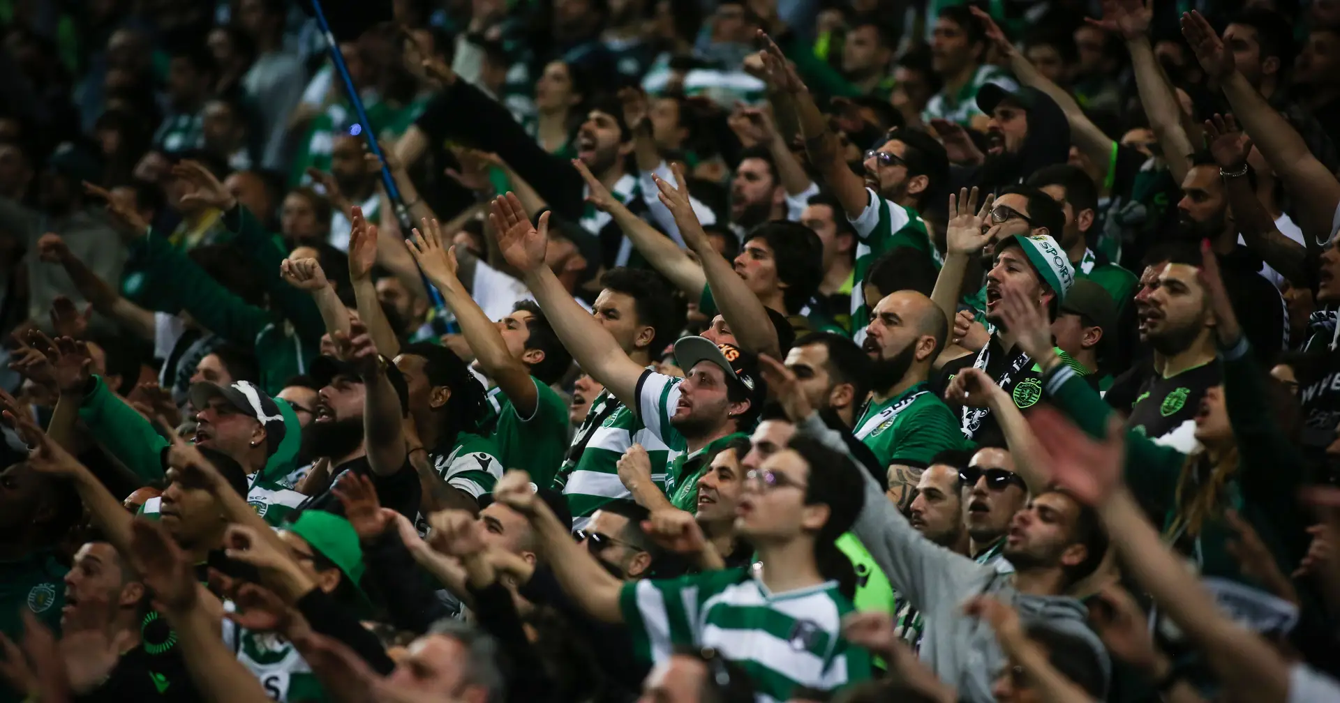 Sporting quer cerveja nos estádios para aumentar receita e melhorar ...