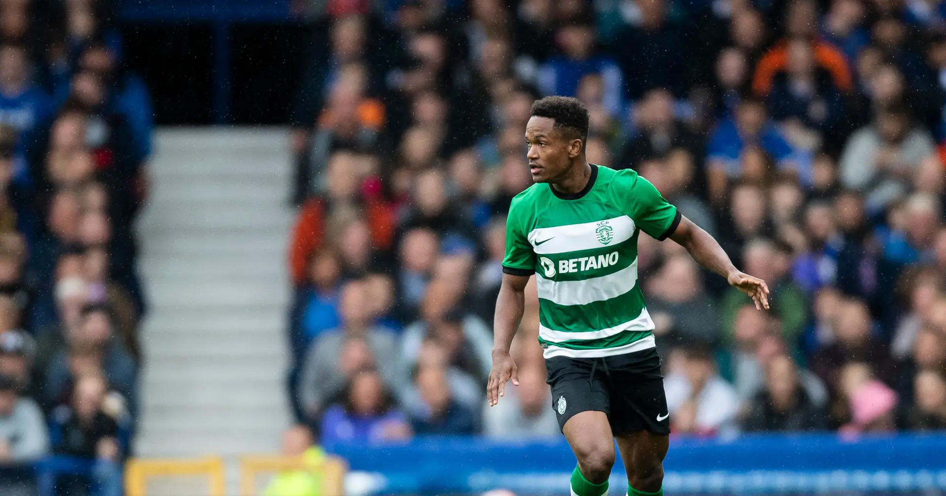 Matheus Reis e Geny no 11 de Amorim: as equipas para o Vitória-Sporting ...