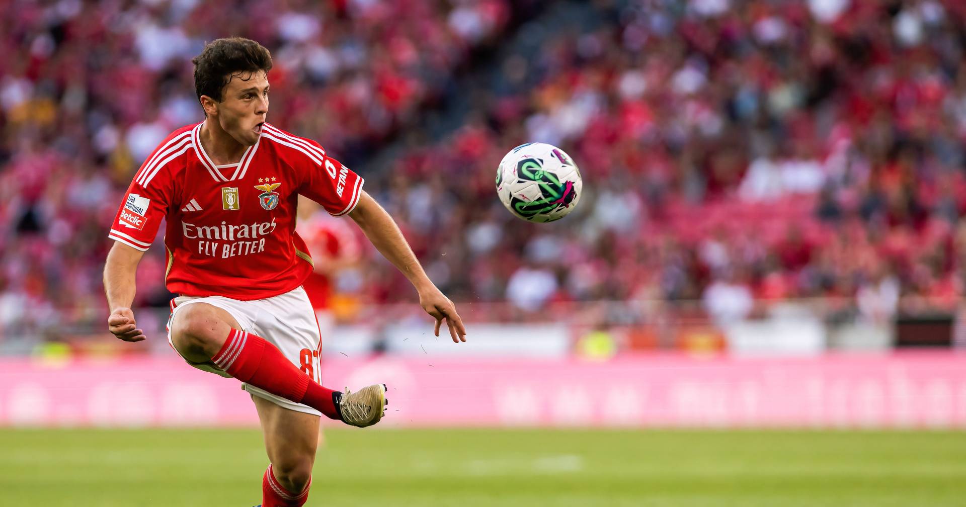 João Neves: “Se eu quisesse mesmo ir embora, e se o Benfica quisesse ...