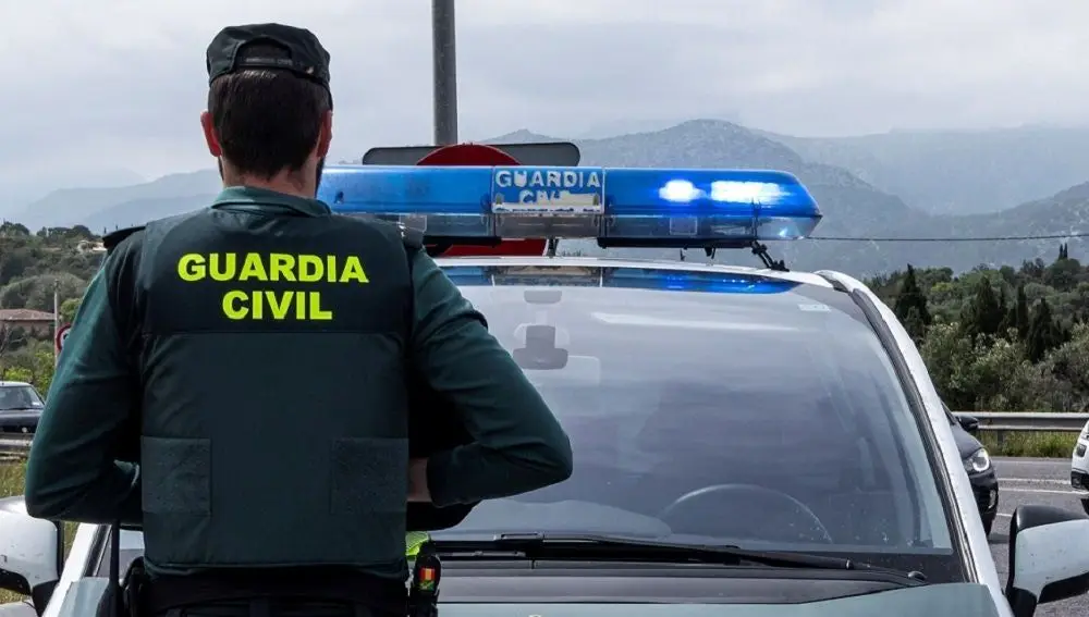 Desmantelada Rede De Tráfico De Droga 8 Pessoas Detidas E 15 Toneladas