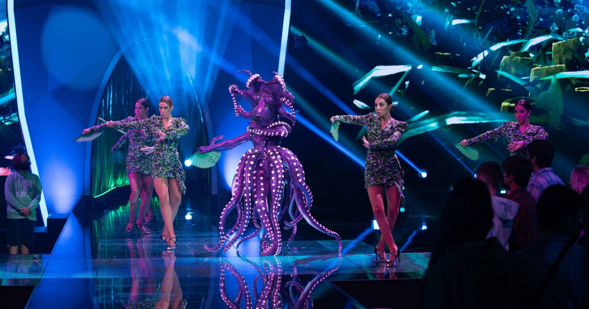 Polvo volta a arrasar corações: “É uma mais-valia para o programa!” - SIC