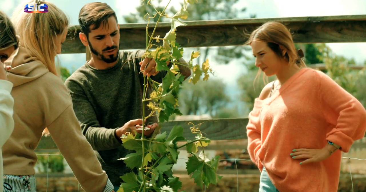 Filipa Mendes confusa em relação à origem do vinho e preocupada com as ...