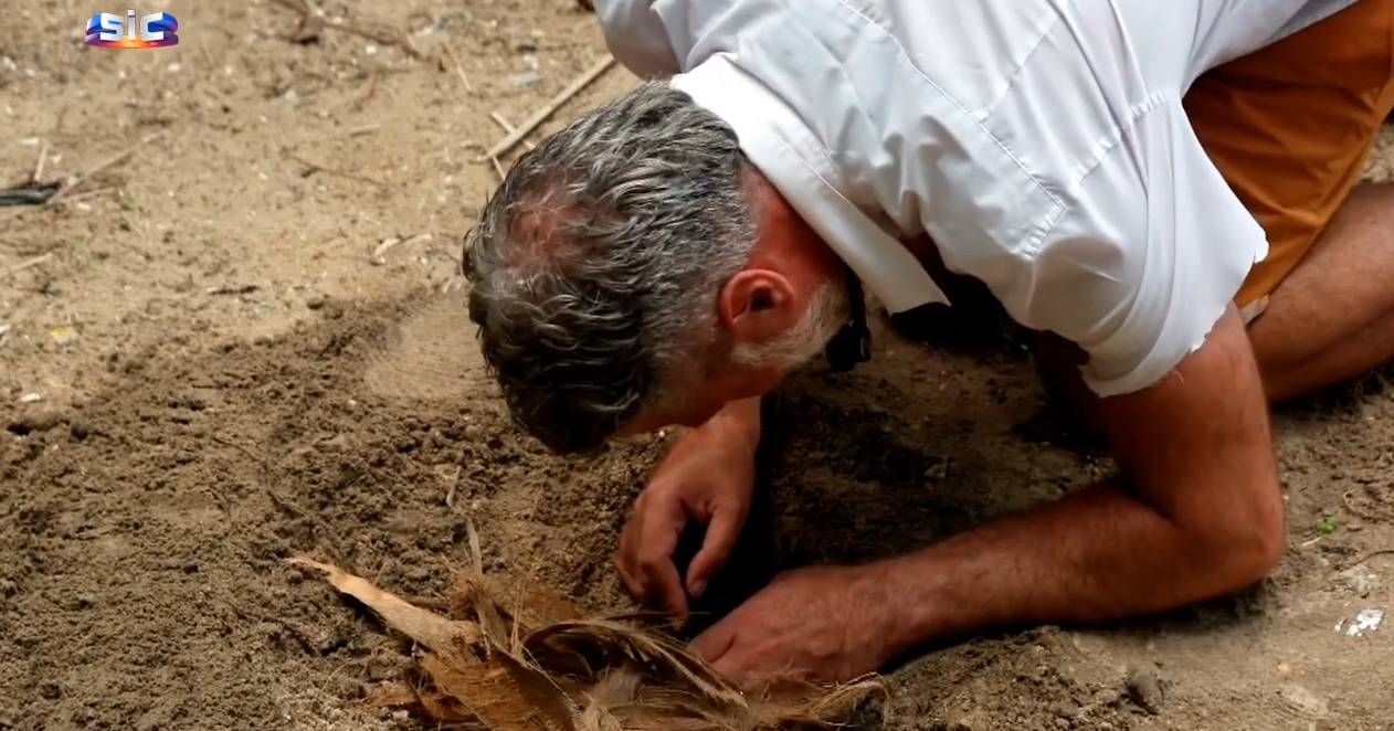 Perigo na ilha! — Elsa tenta acender uma fogueira de forma inusitada e ...