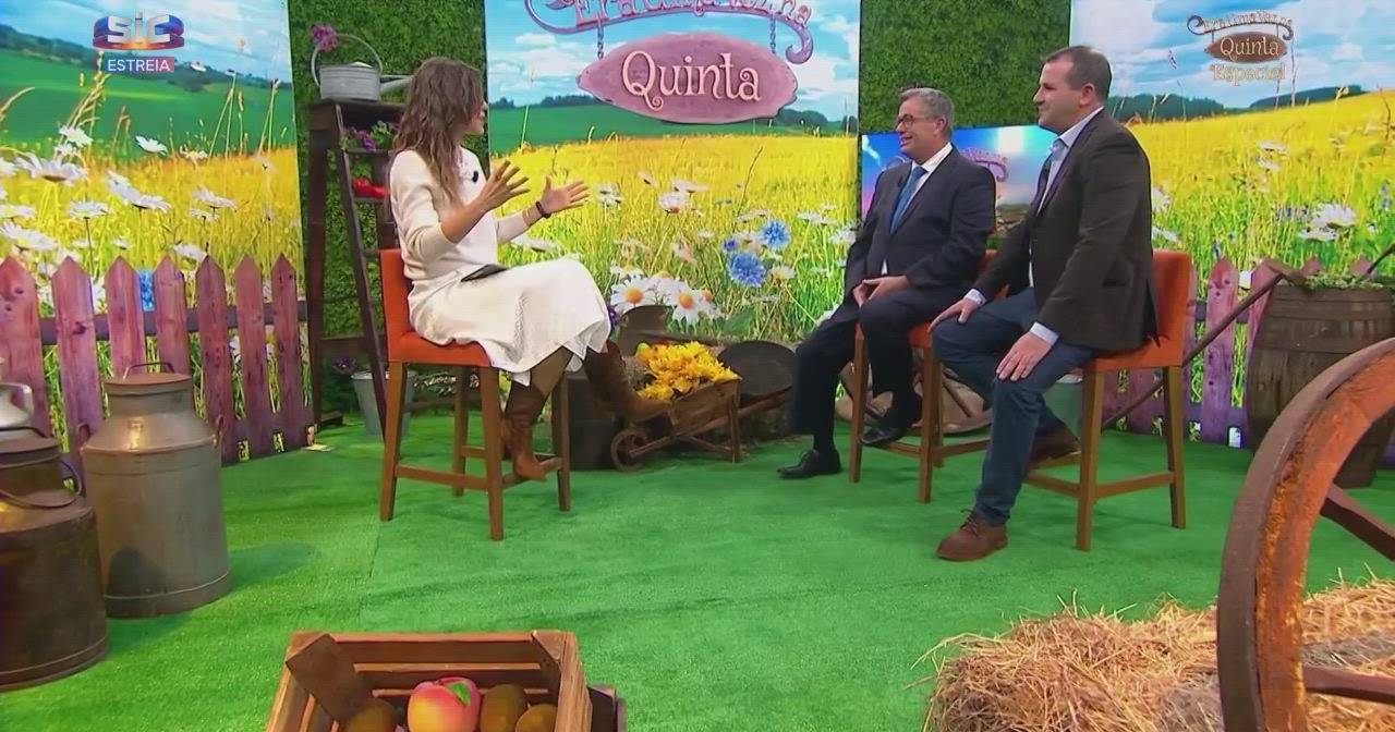 Tino de Rans revela a sua favorita: “A concorrente mais estrelada” - SIC