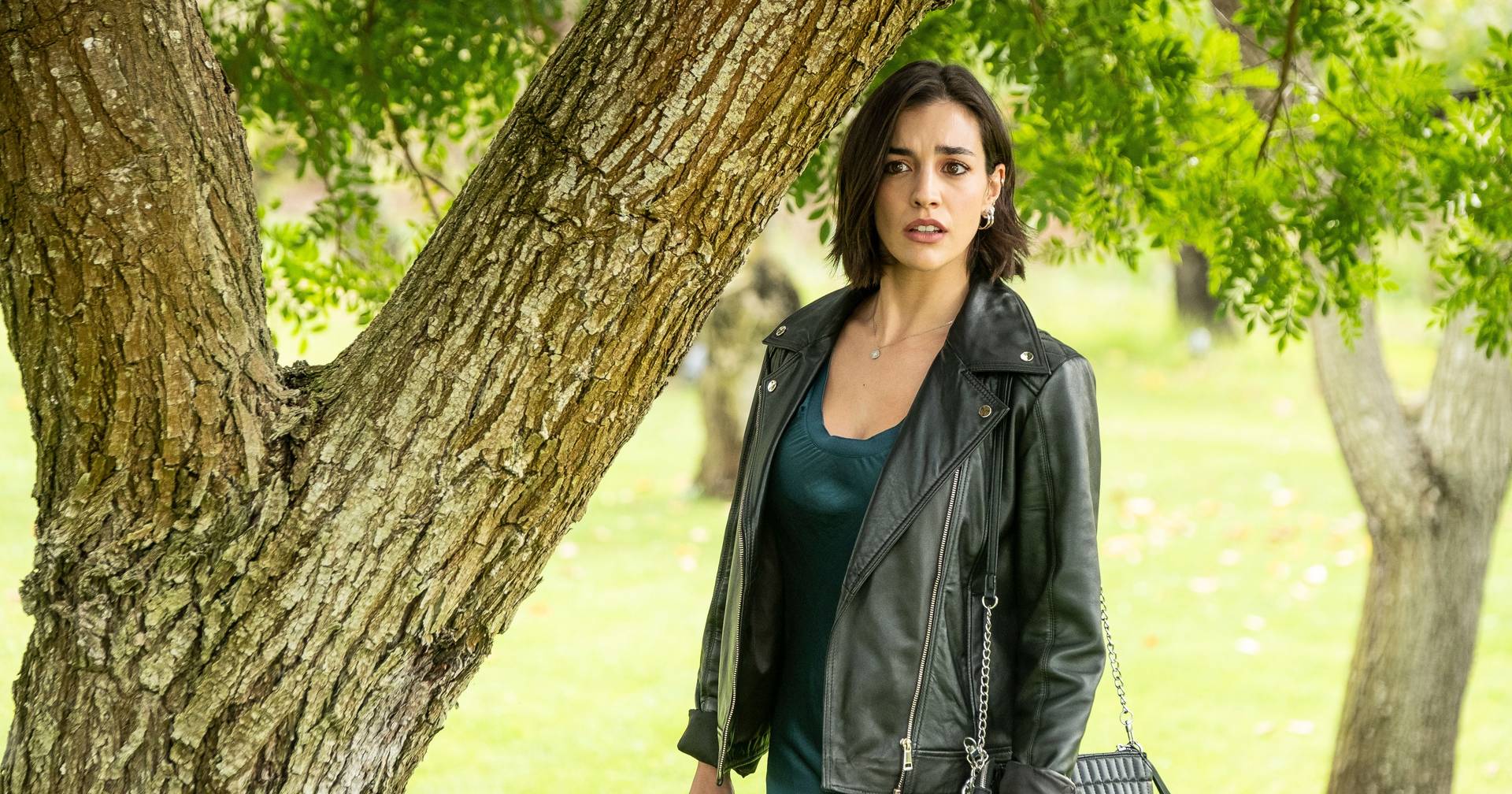 Resumo 'A Herança': Beatriz vê a mãe na herdade - SIC