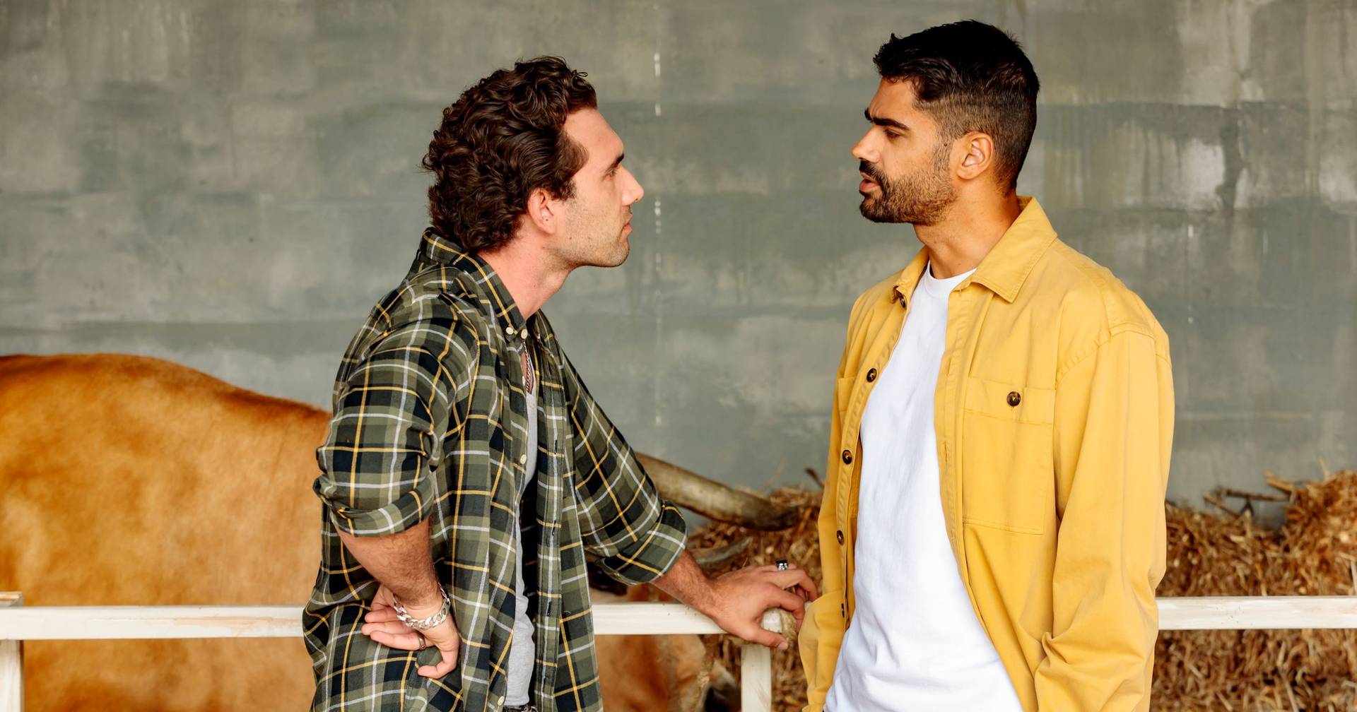 Ricardo tira Robert do sério: “Vai para o raio que te parta” - SIC