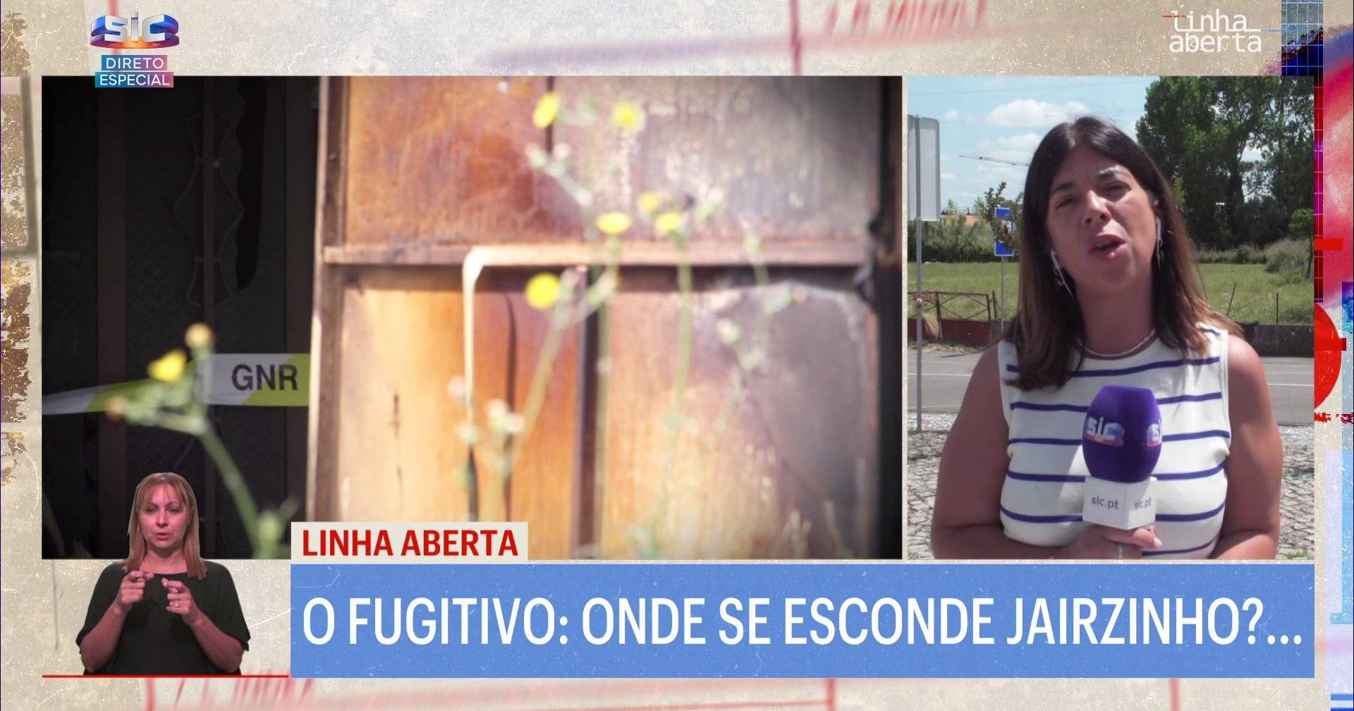 Jair Pereira avistado a dormir em jardim de propriedade privada: "Qualquer barulho deixa a ...