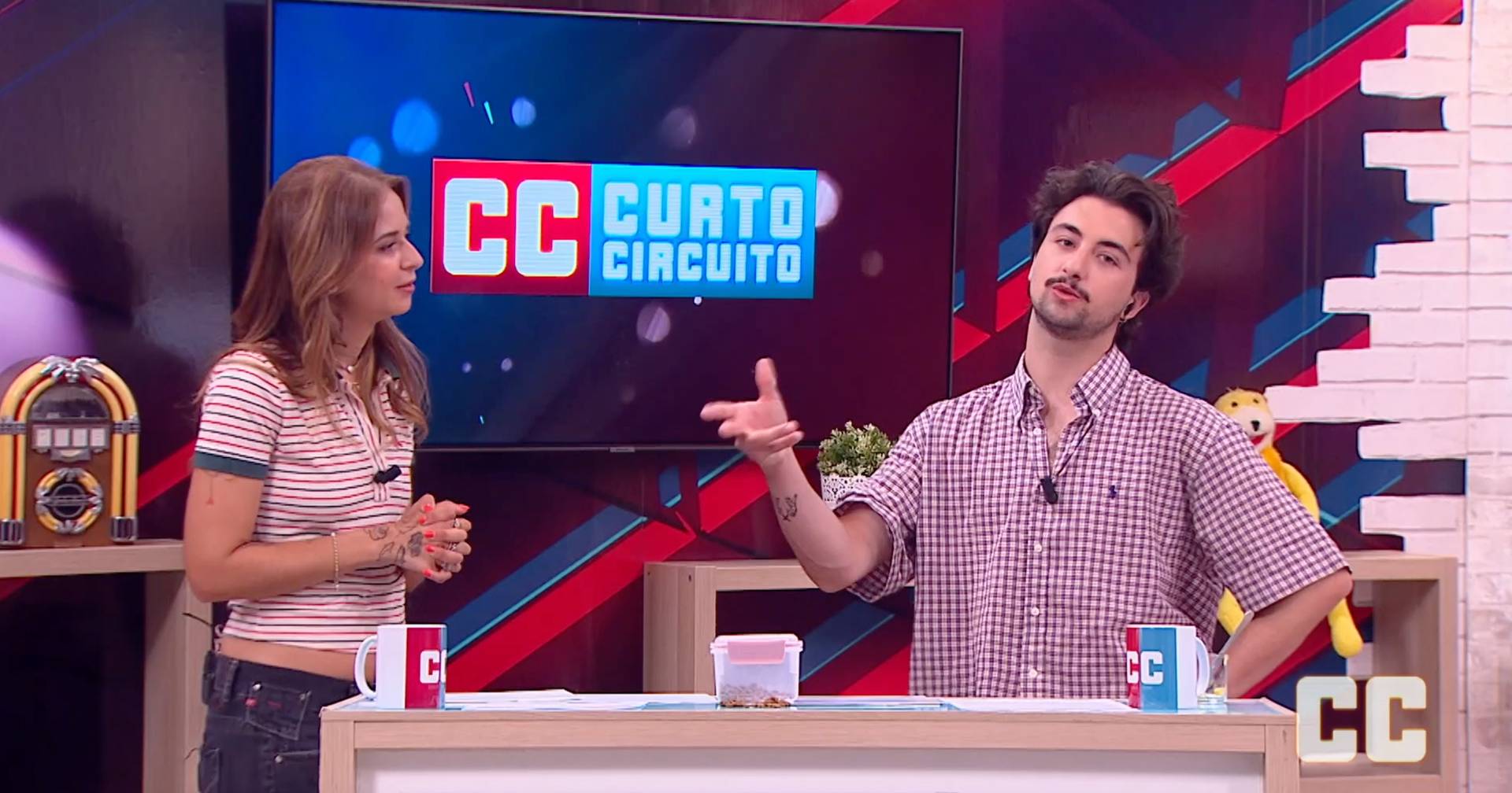 Sabias que os gatos têm medo de pepinos? Apresentadores do CC têm ...