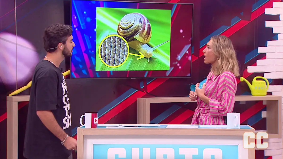 Luís Marvão surpreende Helena Beck: "Trago ou não coisas interessantes ...