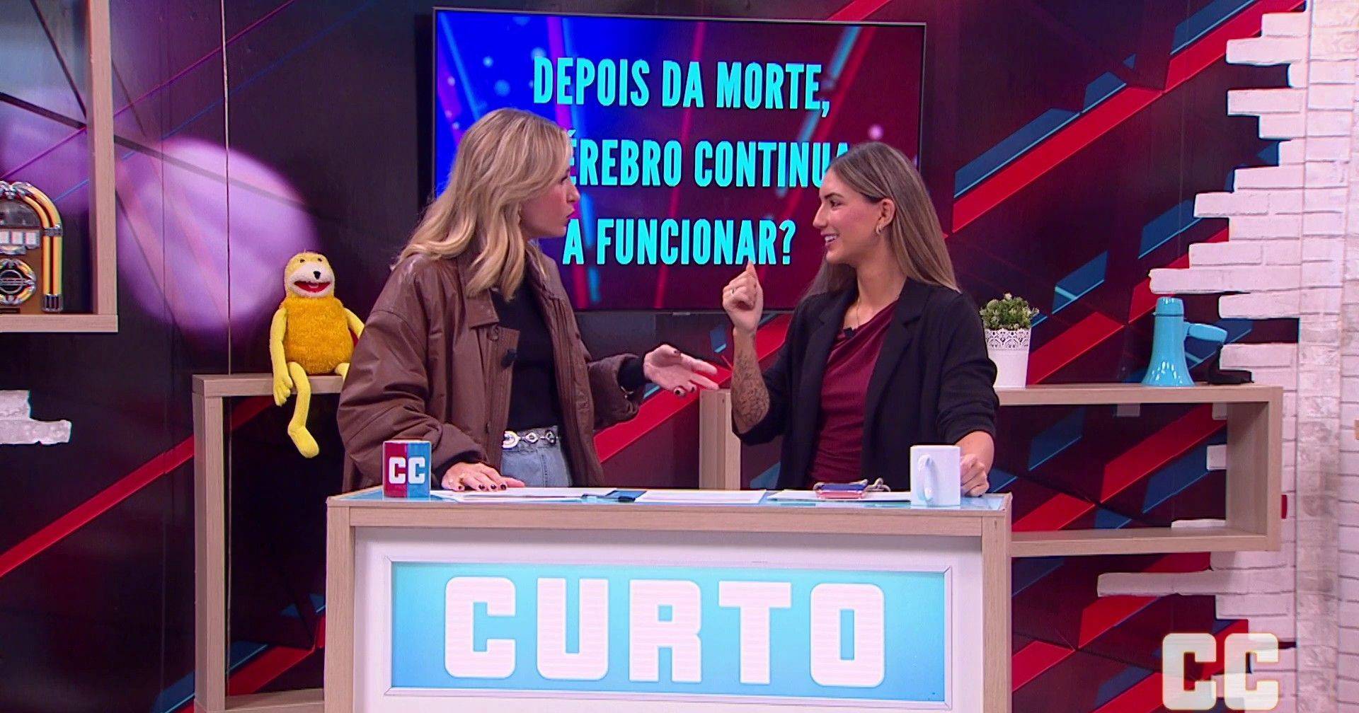 "Depois da morte, o cérebro continua a funcionar?": Inês Abrantes ...