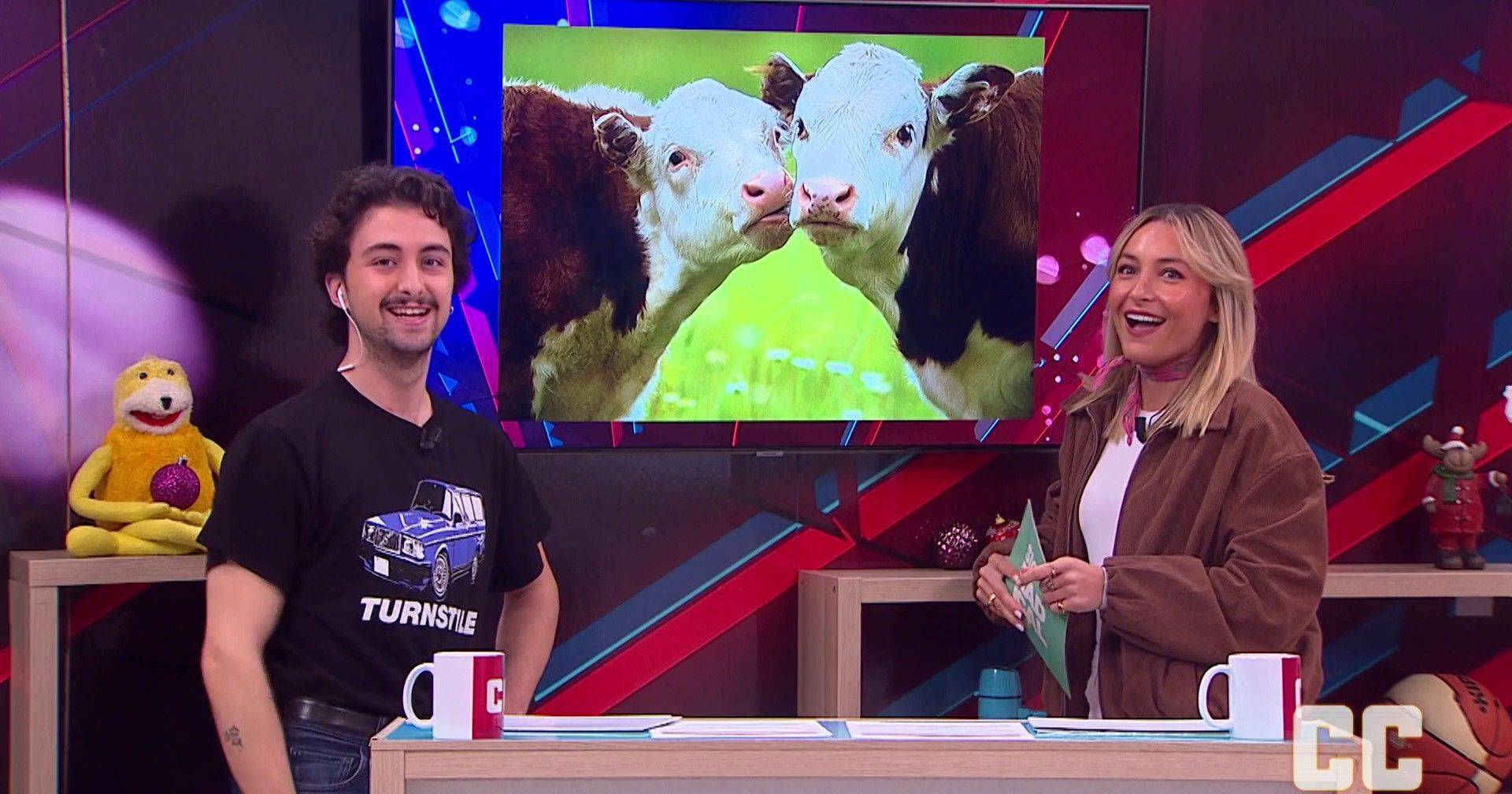 Helena Beck surpreende Manel Rosa com curiosidade: "Sabias que as vacas ...