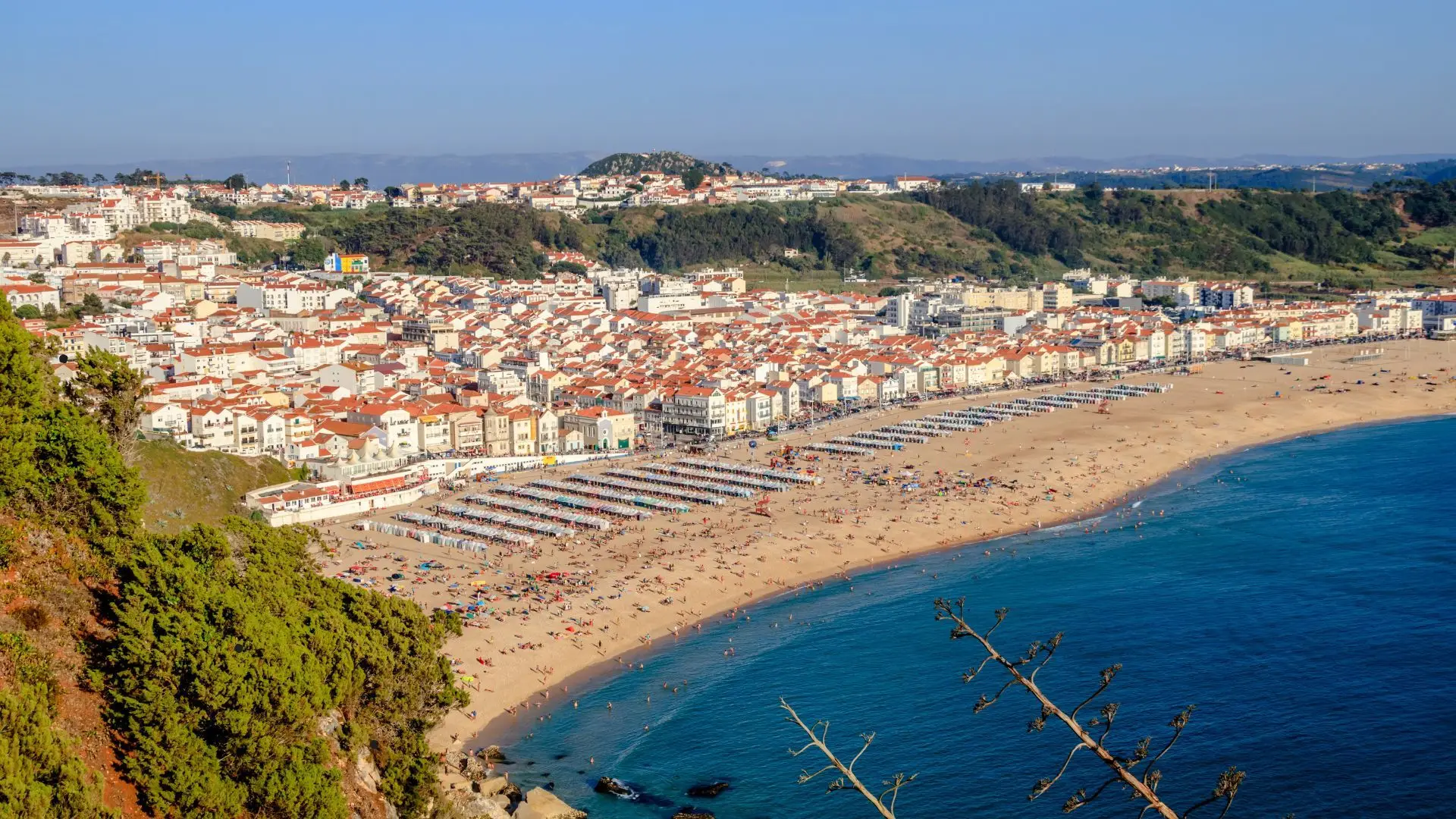 O que é o Canhão da Nazaré? - SIC Explica-me