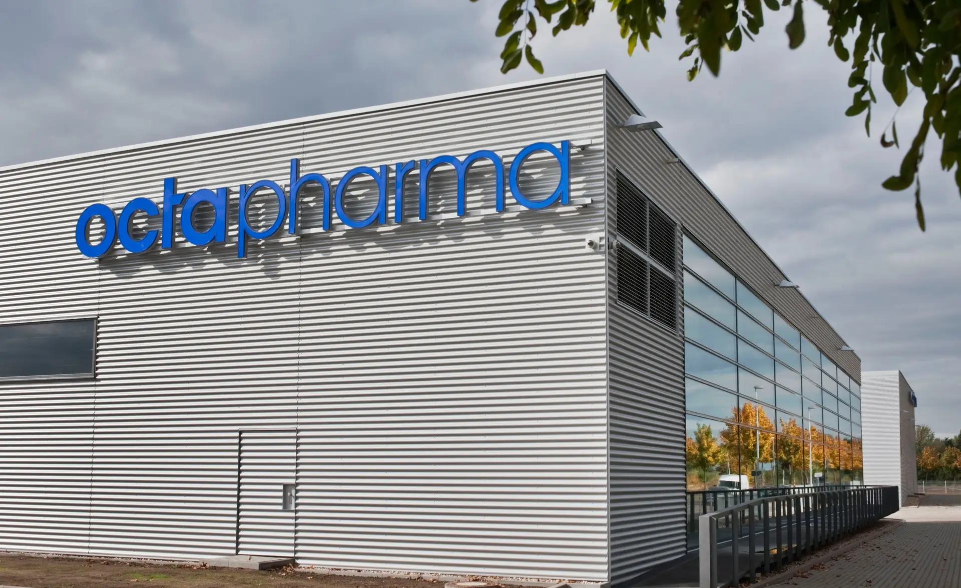 Ministério Público acusa ex-presidente da Octapharma e empresa de ...