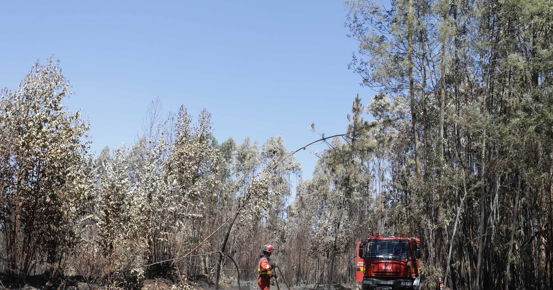 Incêndio de Pedrógão Grande dado como extinto - SIC Notícias