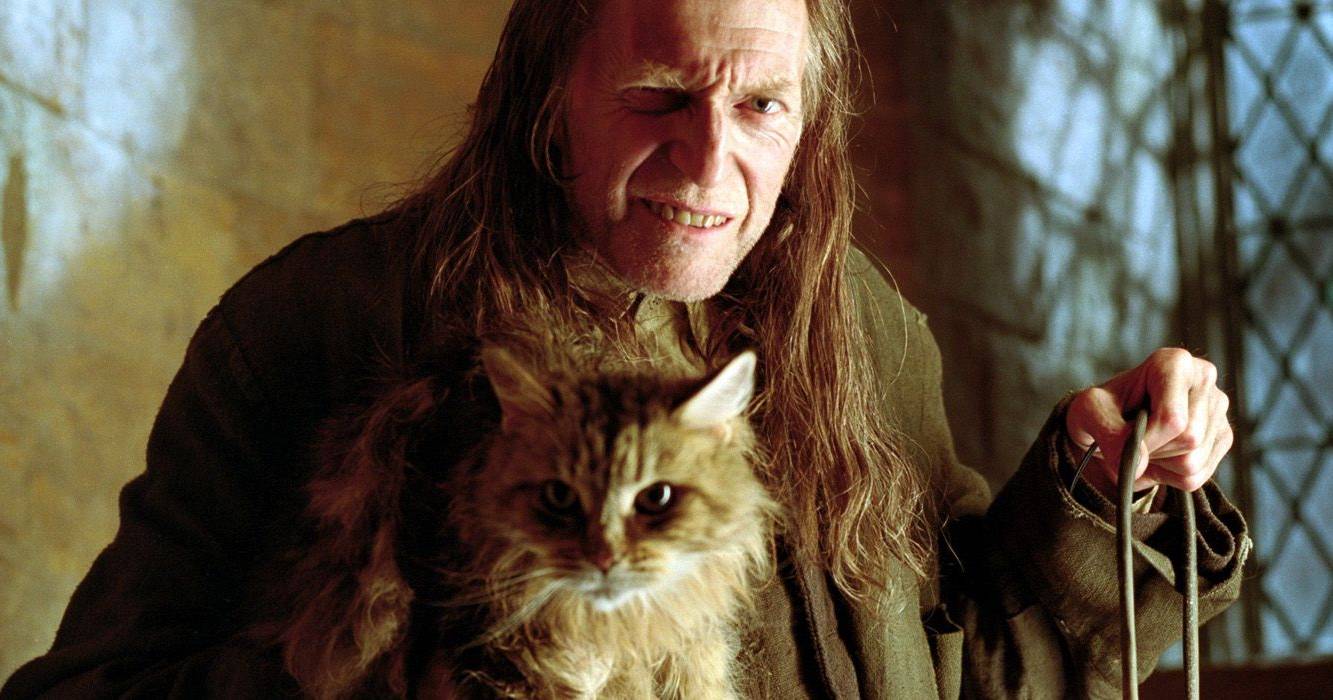 20 Anos de Magia: Filch e Mrs Norris - SIC Notícias