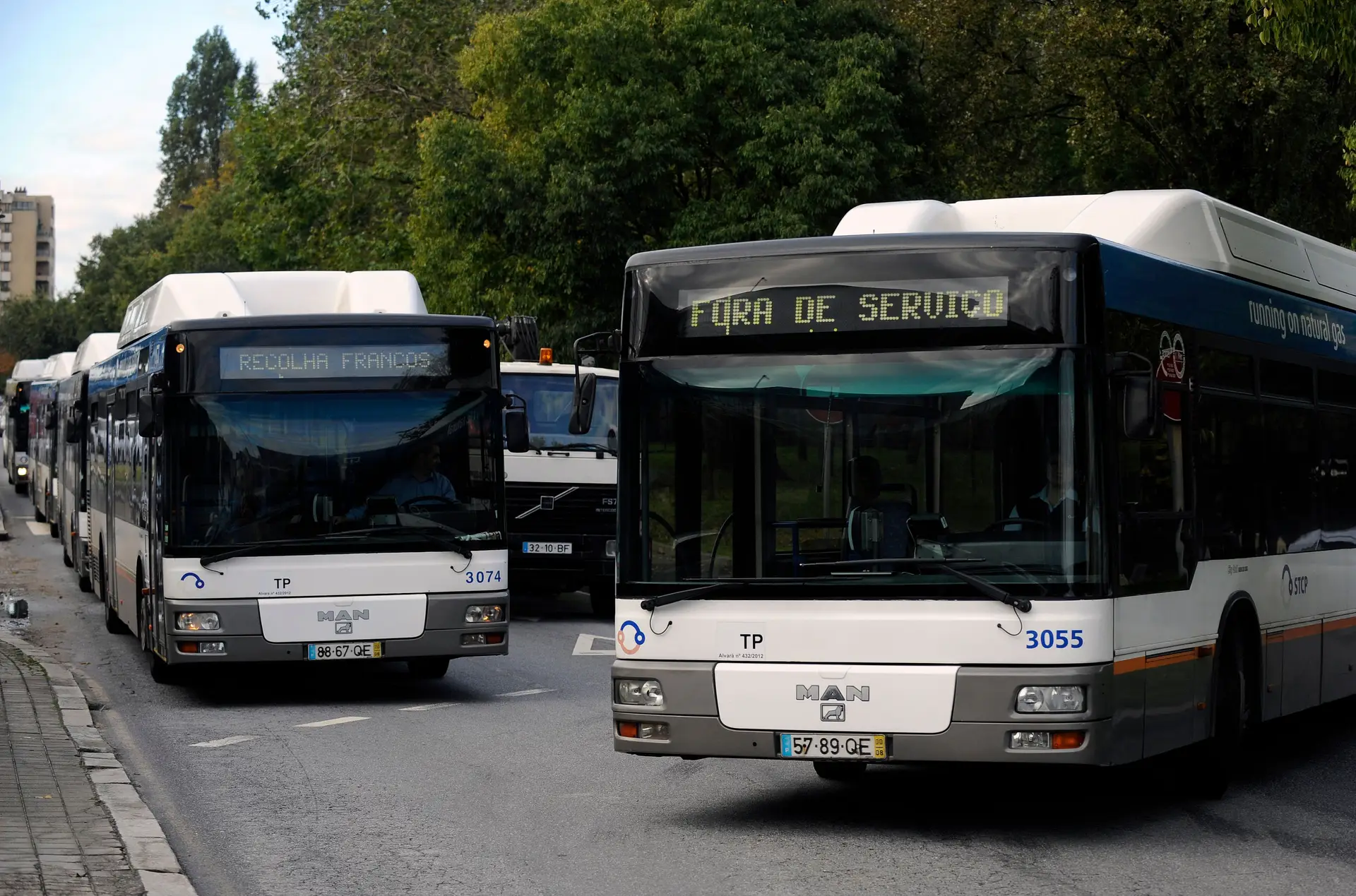 STCP anuncia "horário de contingência" - SIC Notícias