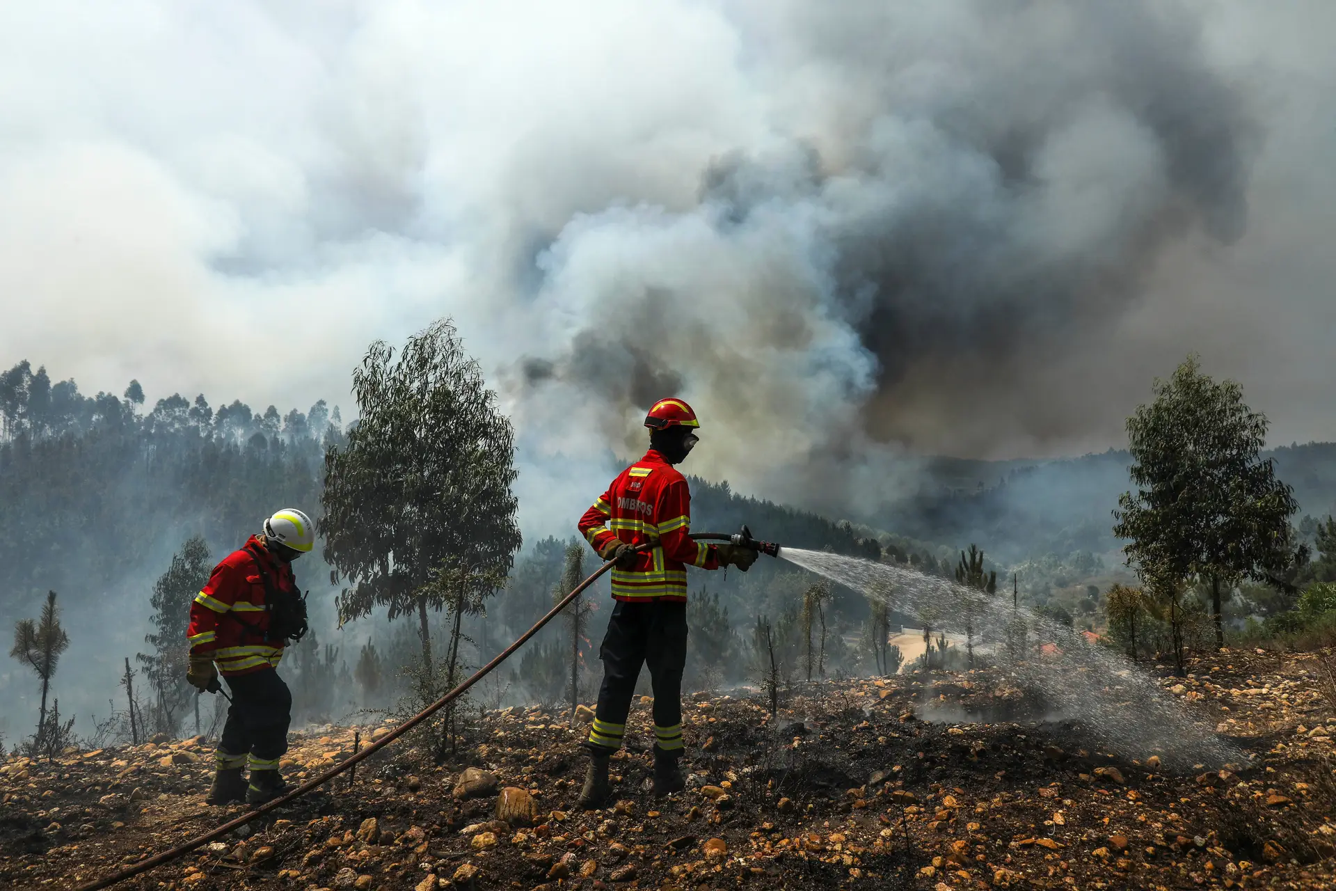 Proteção Civil aumentou dispositivo de combate aos incêndios em zonas ...