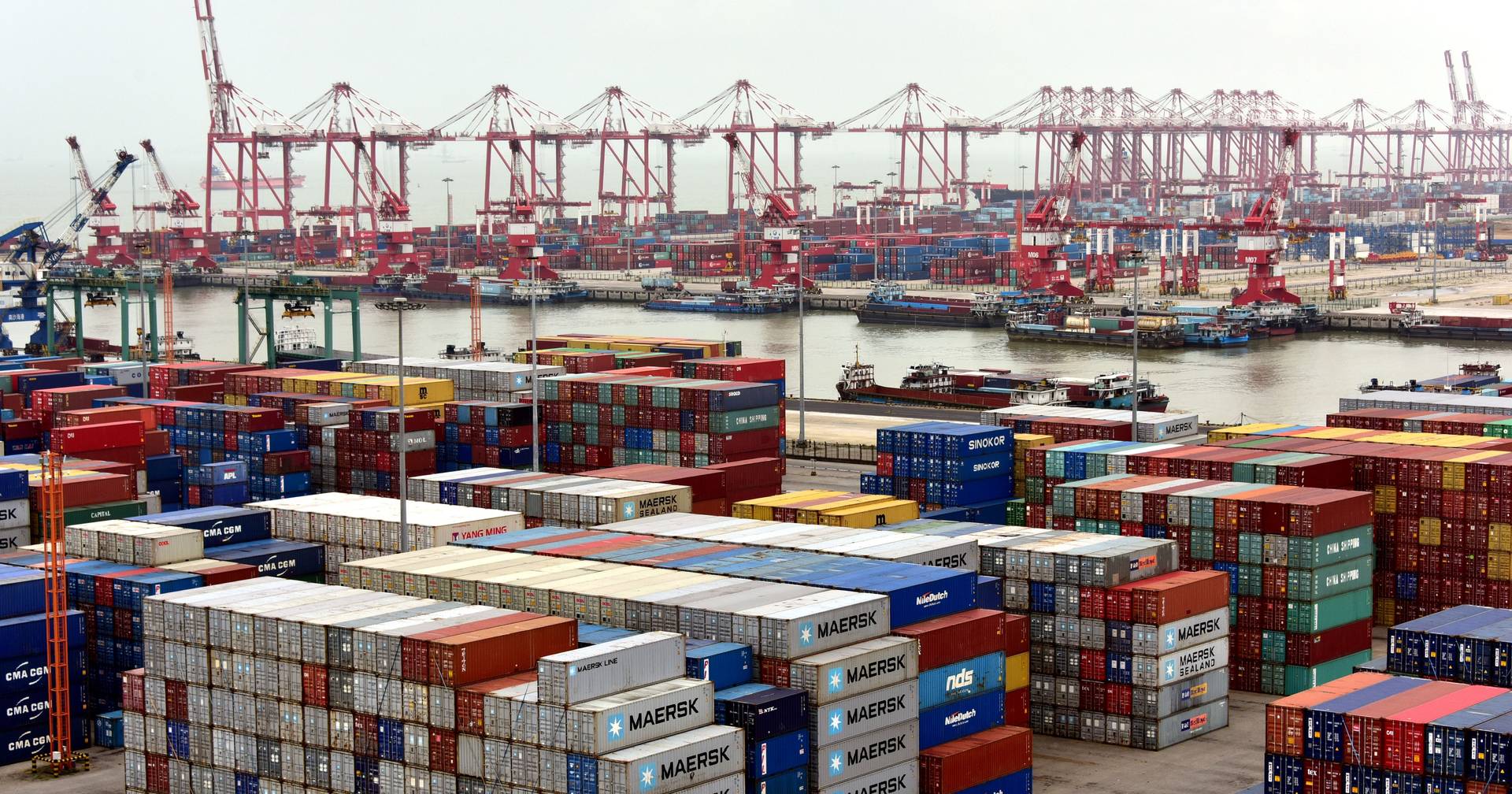 Navios chineses apanhados a pescar toneladas de tubarões em Timor-Leste ...
