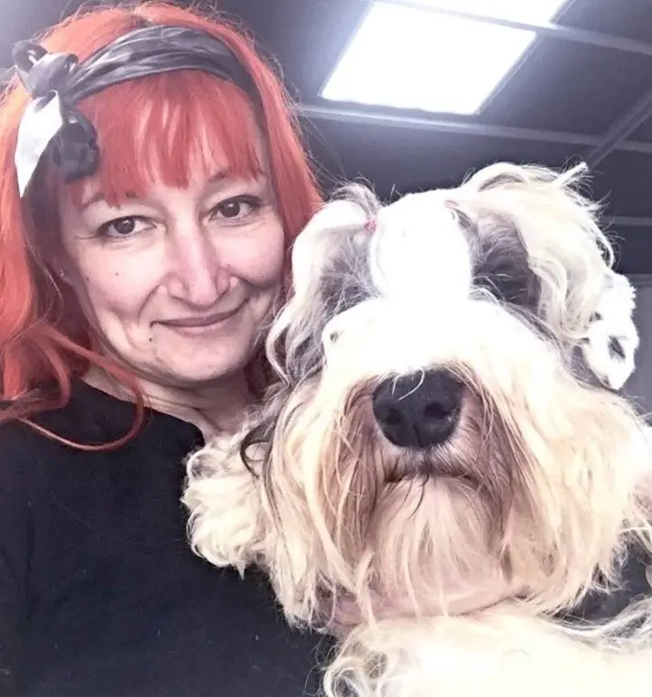 Irlandesa cansou-se dos homens e "casou" com um cão - SIC Notícias