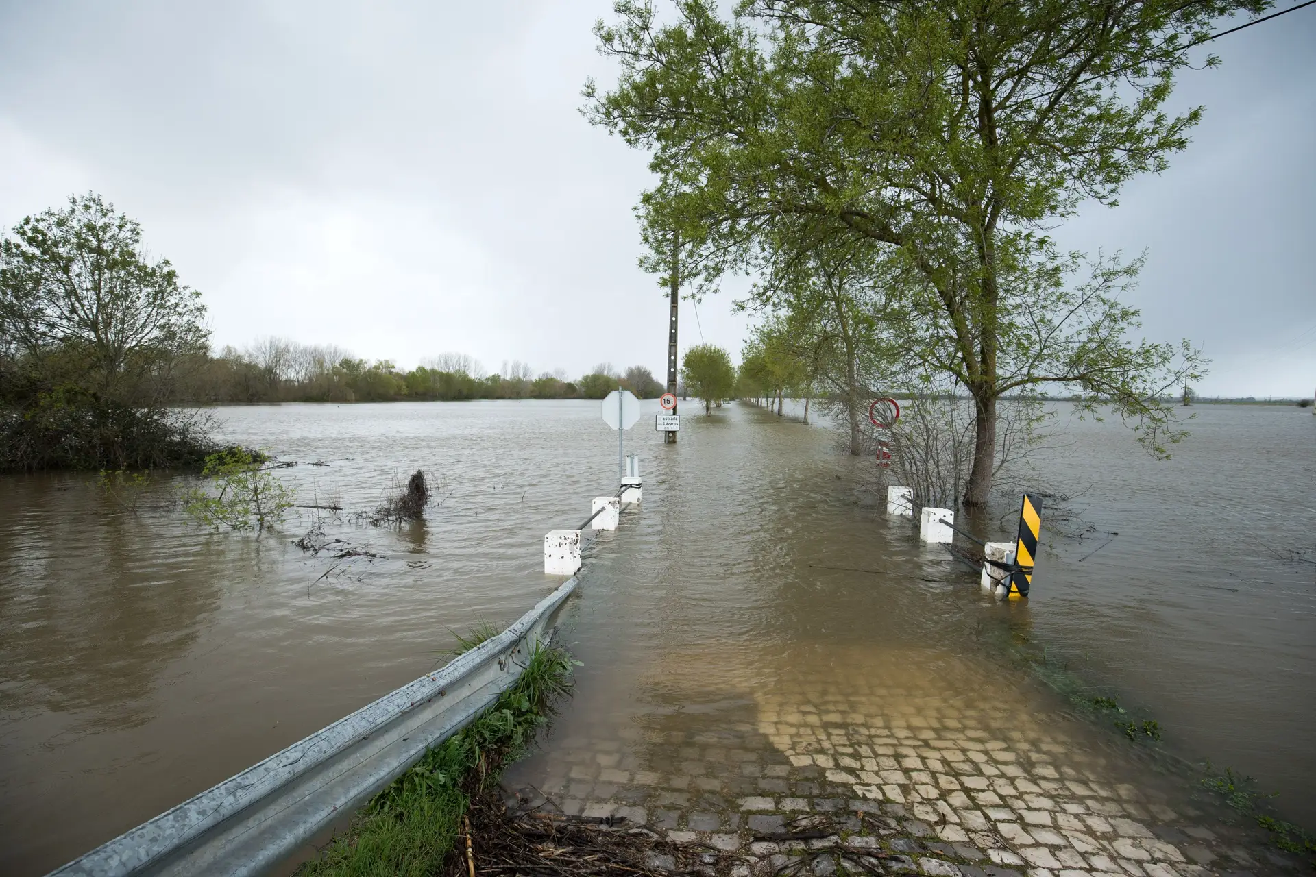 Cheias no Tejo foram minimizadas devido a "boa gestão" com Espanha ...