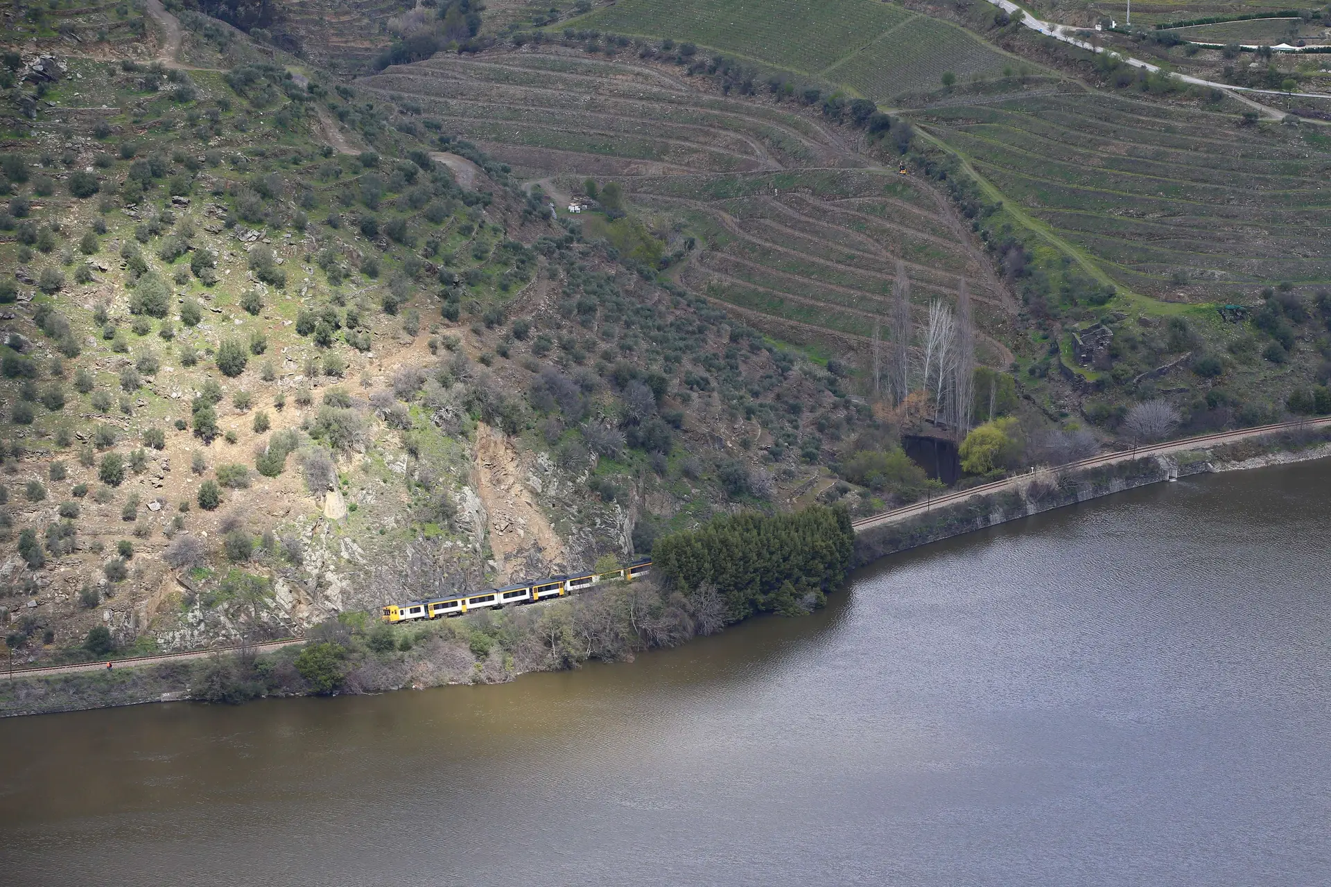 Linha do Douro: o comboio histórico como produto turístico - SIC Notícias