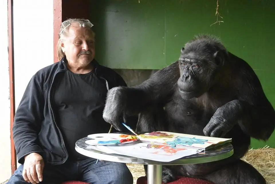 Tribunal deixa que o chimpanzé Robby continue no circo - SIC Notícias