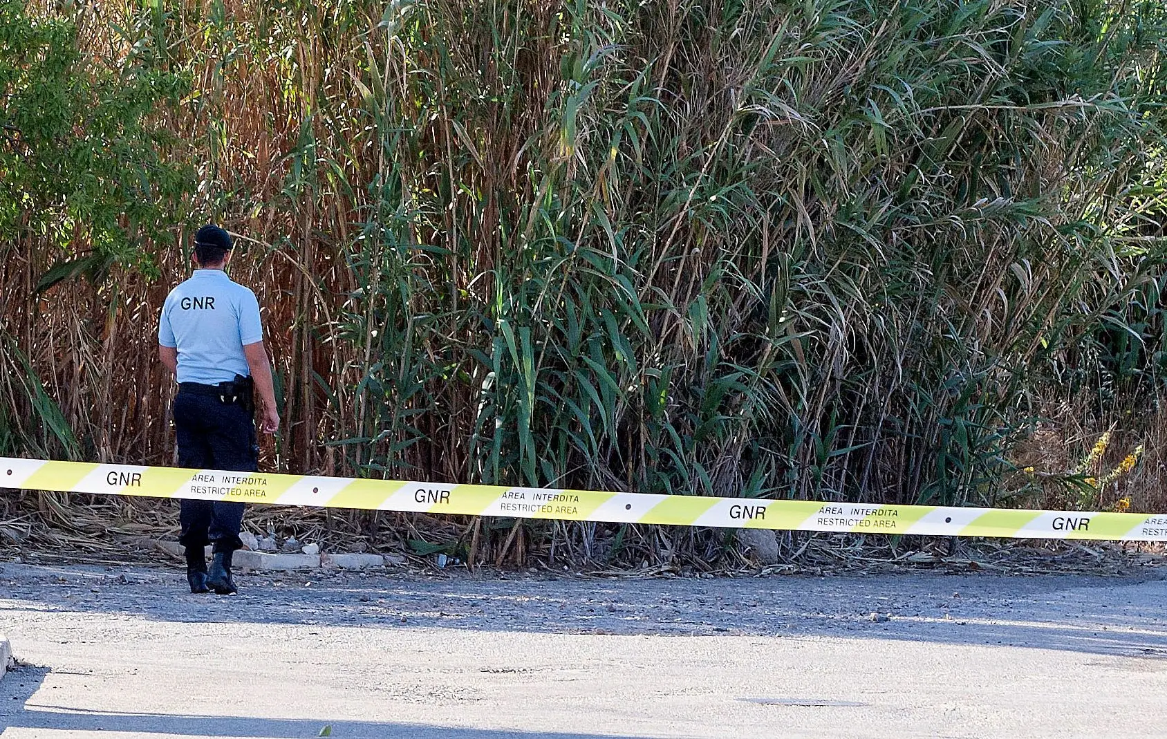 Homem de 32 anos morreu carbonizado em Barcelos - SIC Notícias