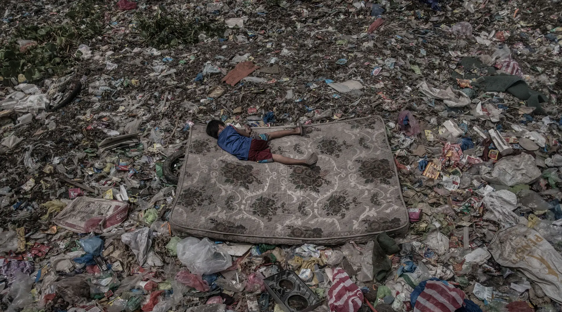 Mário Cruz ficou em terceiro lugar na categoria Ambiente do World Press ...