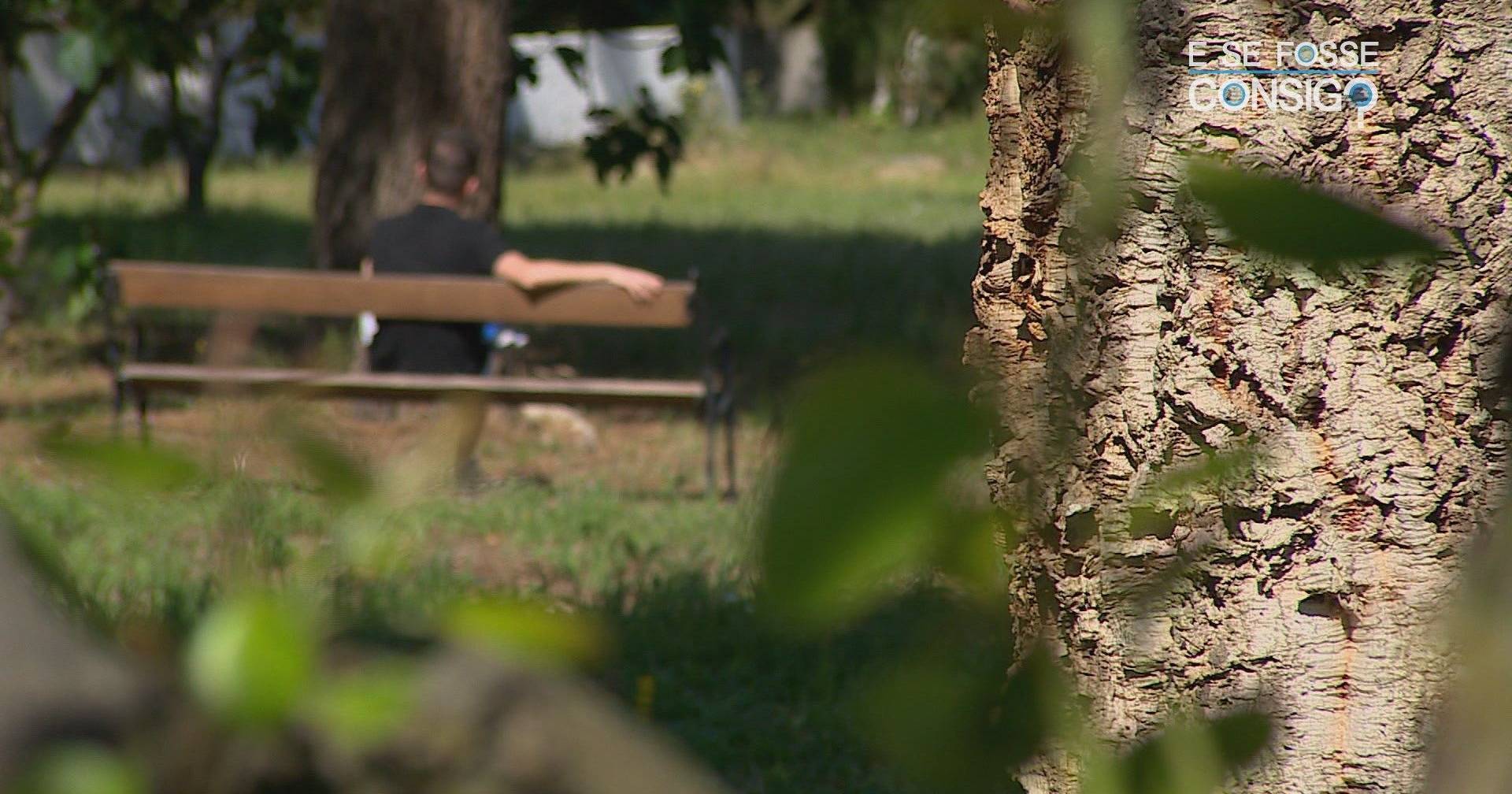 "Não há diferenças entre drogas leves e pesadas, isso é um mito" - SIC ...