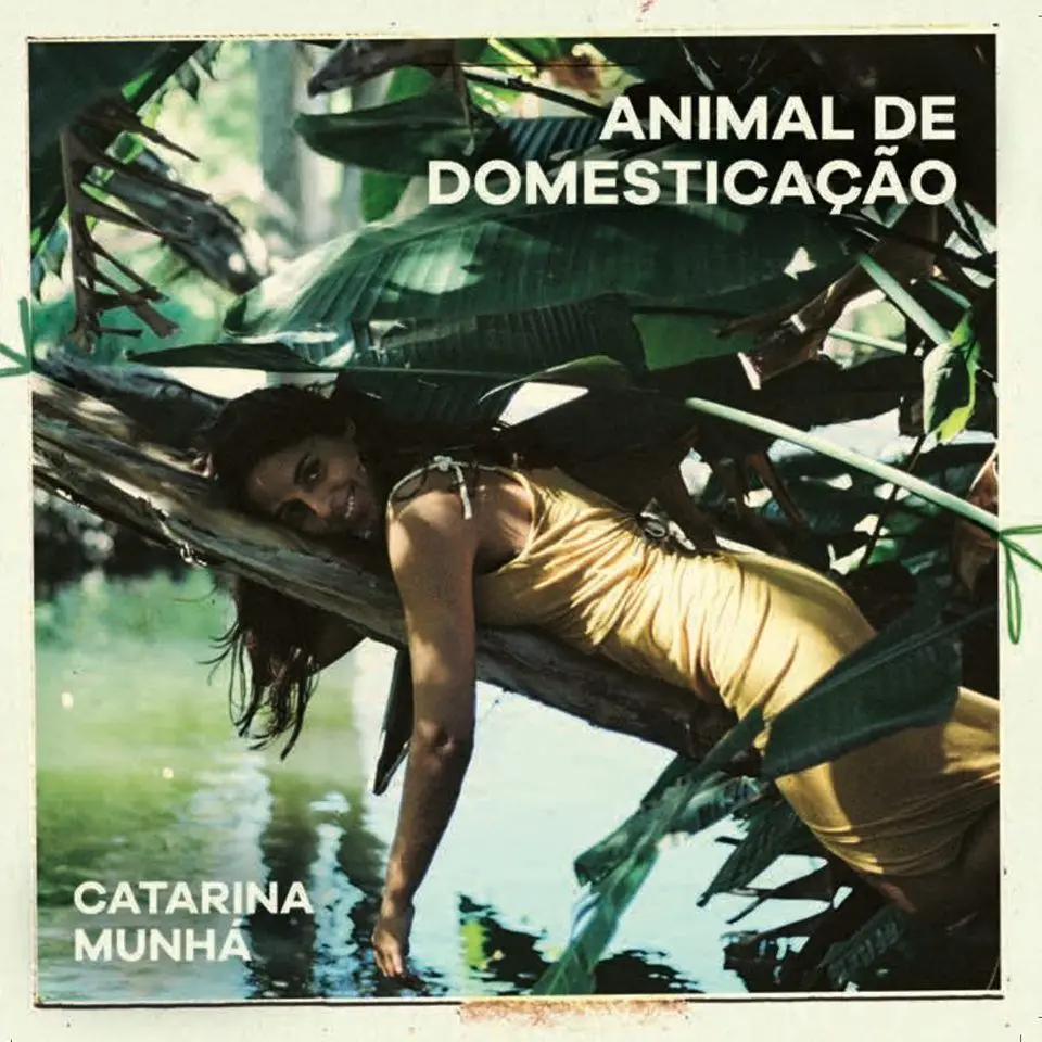 Catarina Munhá lança disco de estreia - SIC Notícias