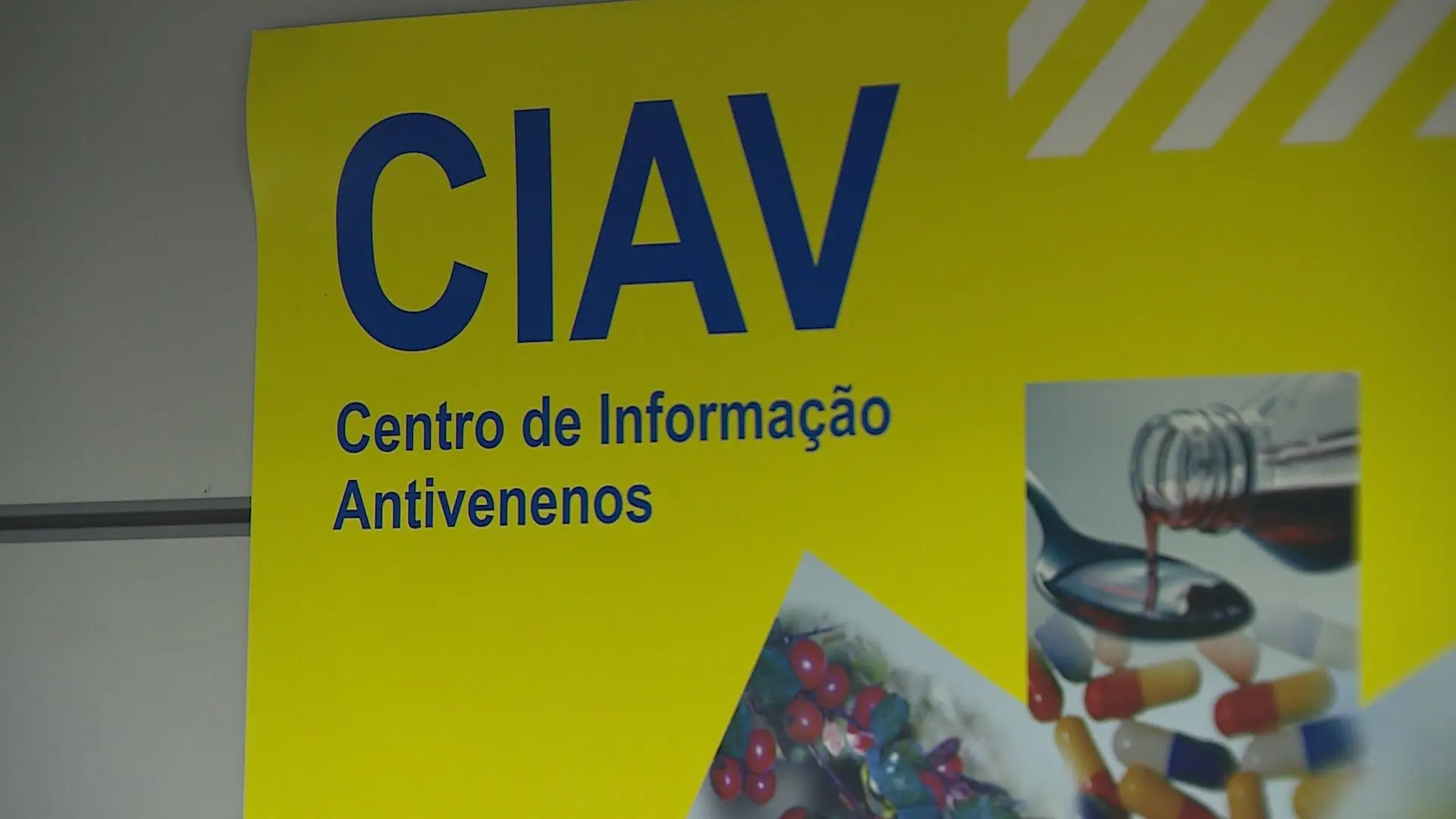 Conheça o novo número do Centro de Informação Antivenenos - SIC Notícias